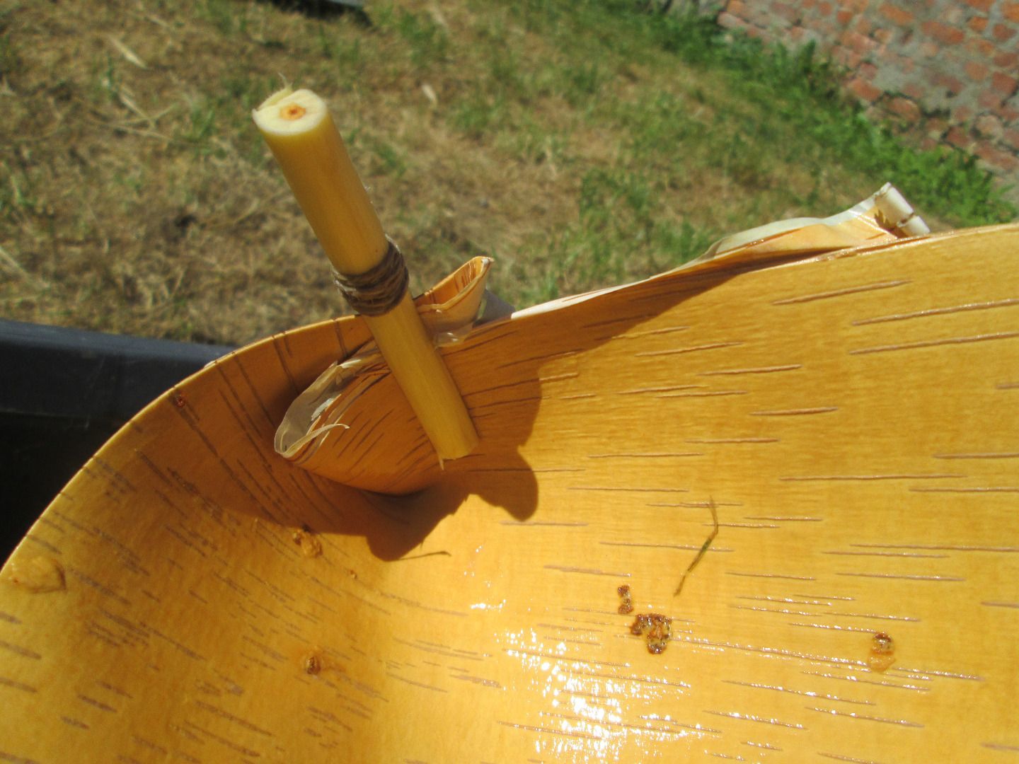 Survive in Style (1) - Softboiled Eggs : 6 Steps (with Pictures) - Instructables