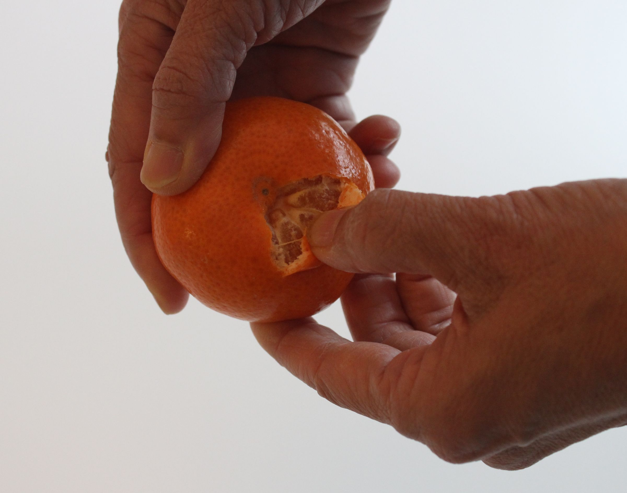 The Art of Peeling a Tangerine : 3 Steps (with Pictures) - Instructables