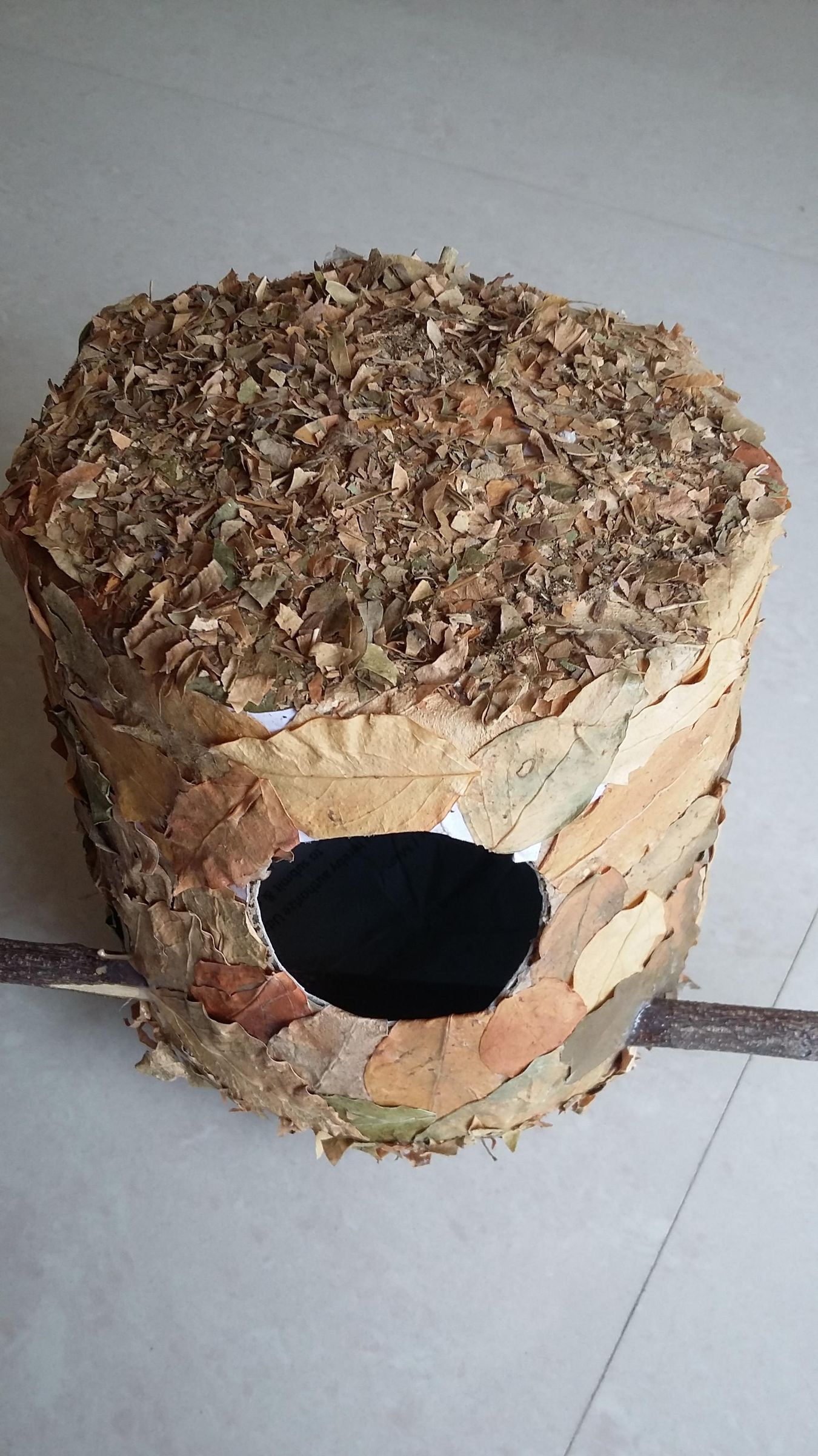 Cardboard Birds Nest Box : 12 Steps (with Pictures) - Instructables