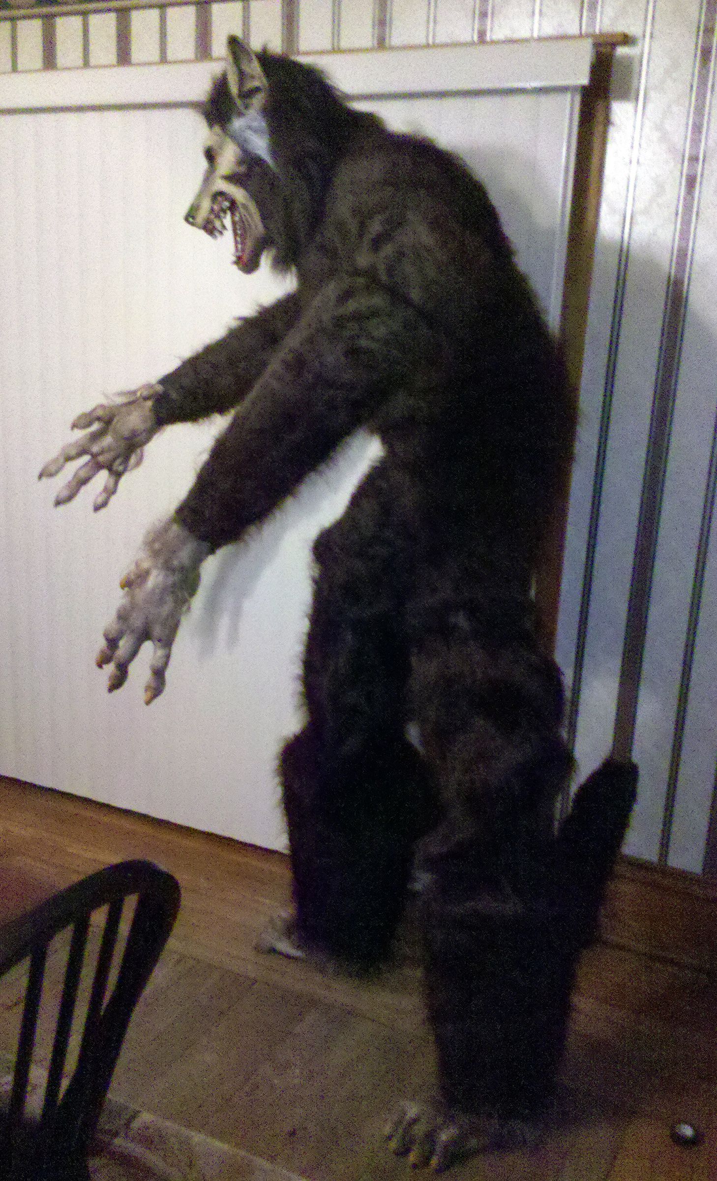 "Creature Reacher" 9 Ft Werewolf Monster Costume : 5 Steps (with ...