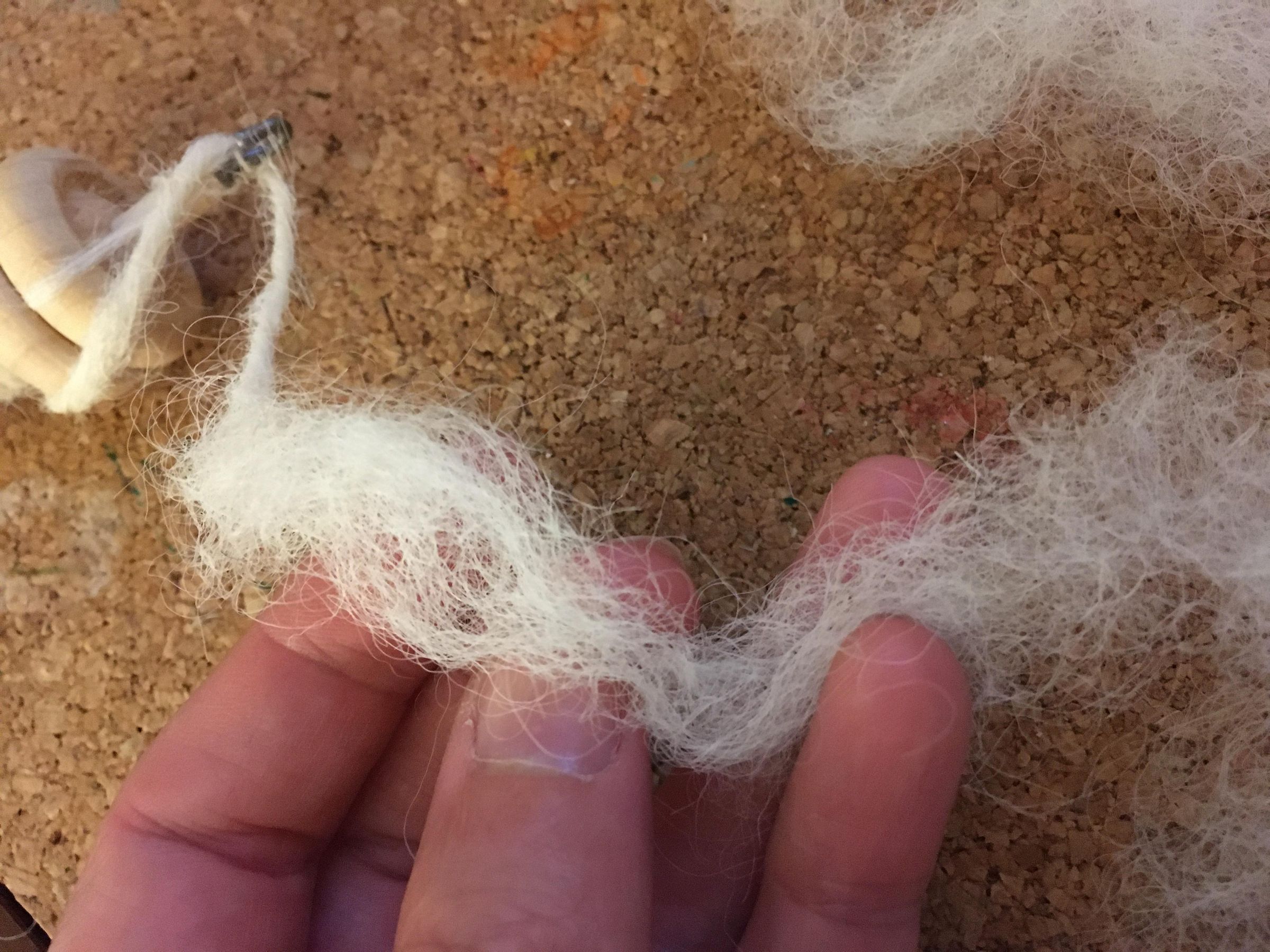 DIY Wool: Forage, Spin and Dye Your Own Yarns : 49 Steps (with Pictures ...