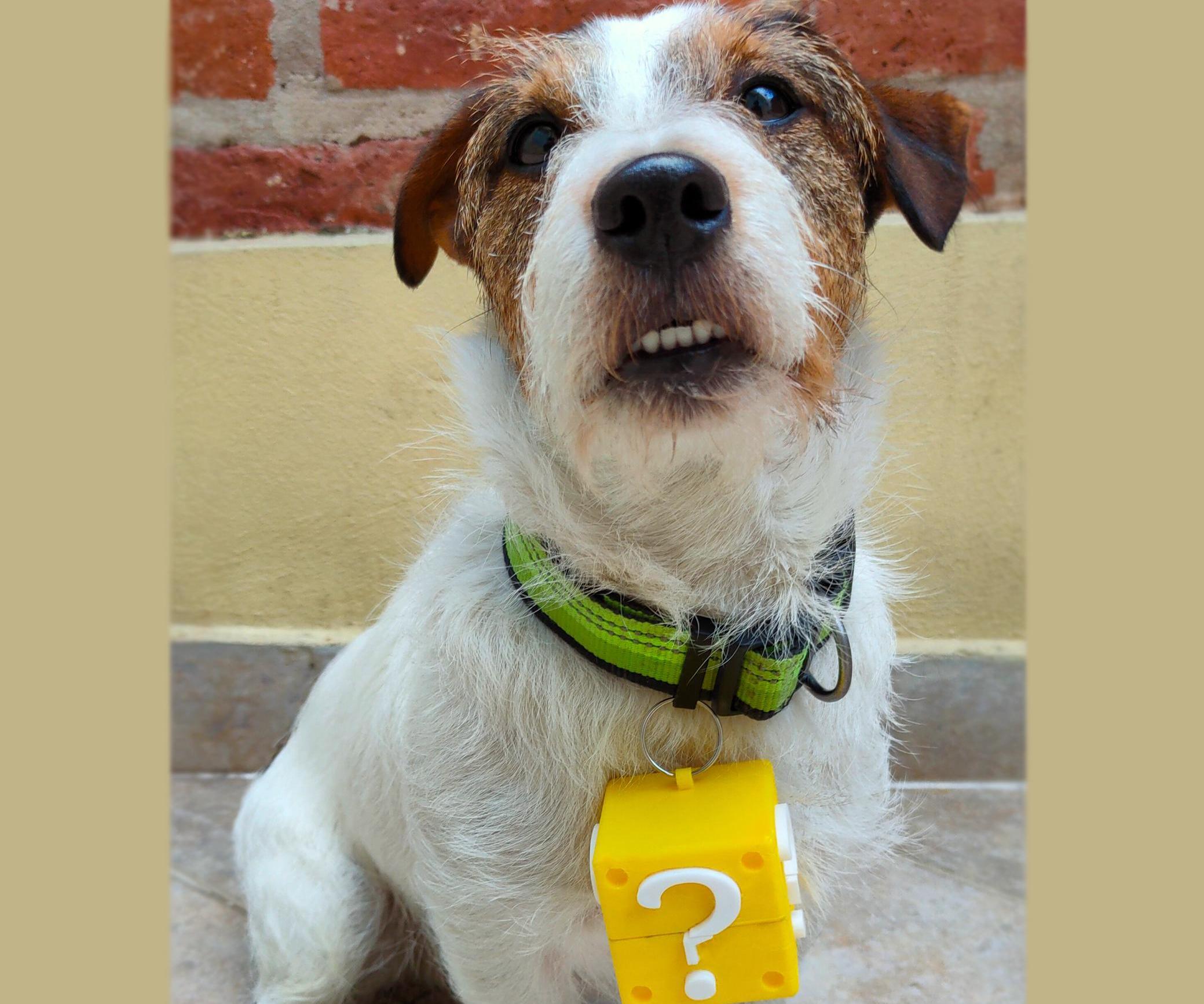 Best of Instructables: Mario Projects - Instructables