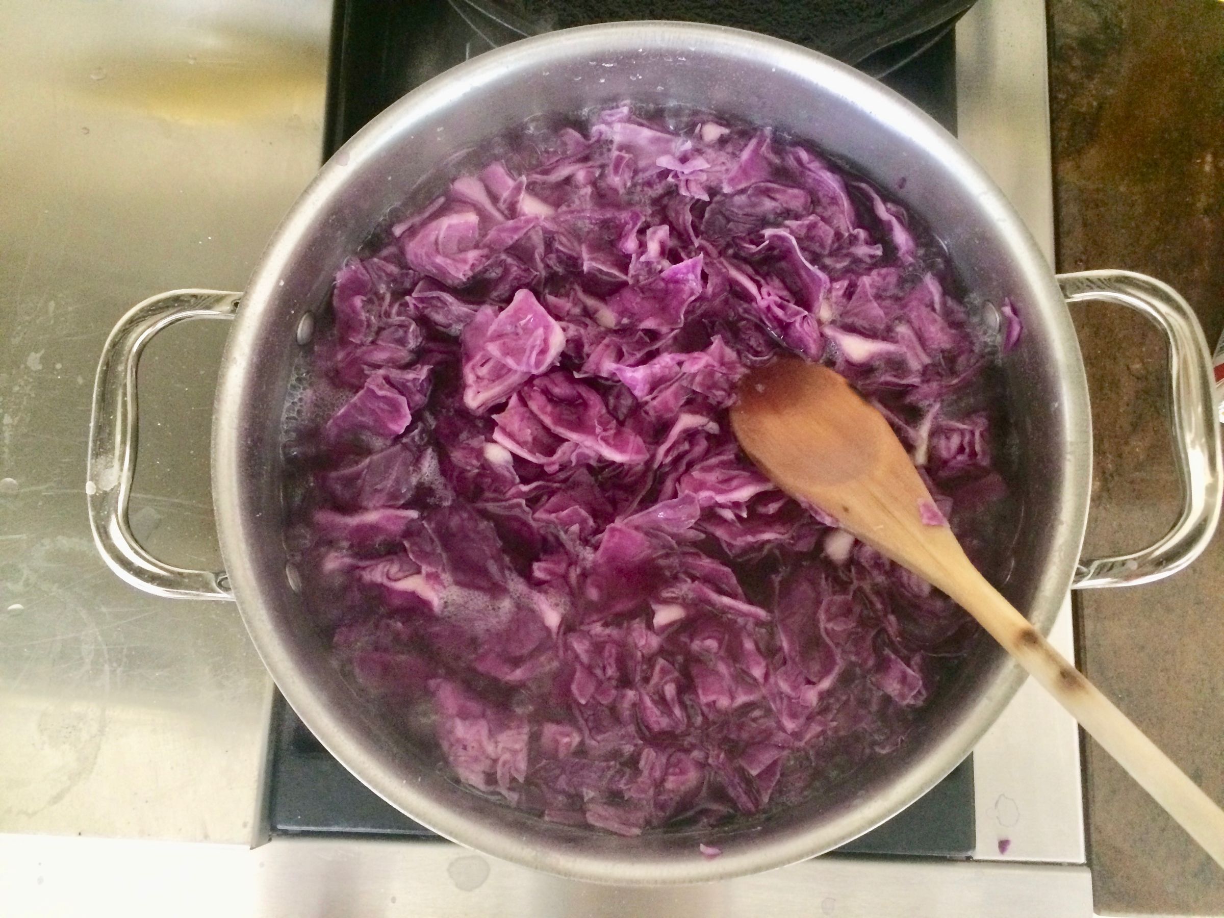 All-Natural Cabbage Dye : 8 Steps (with Pictures) - Instructables