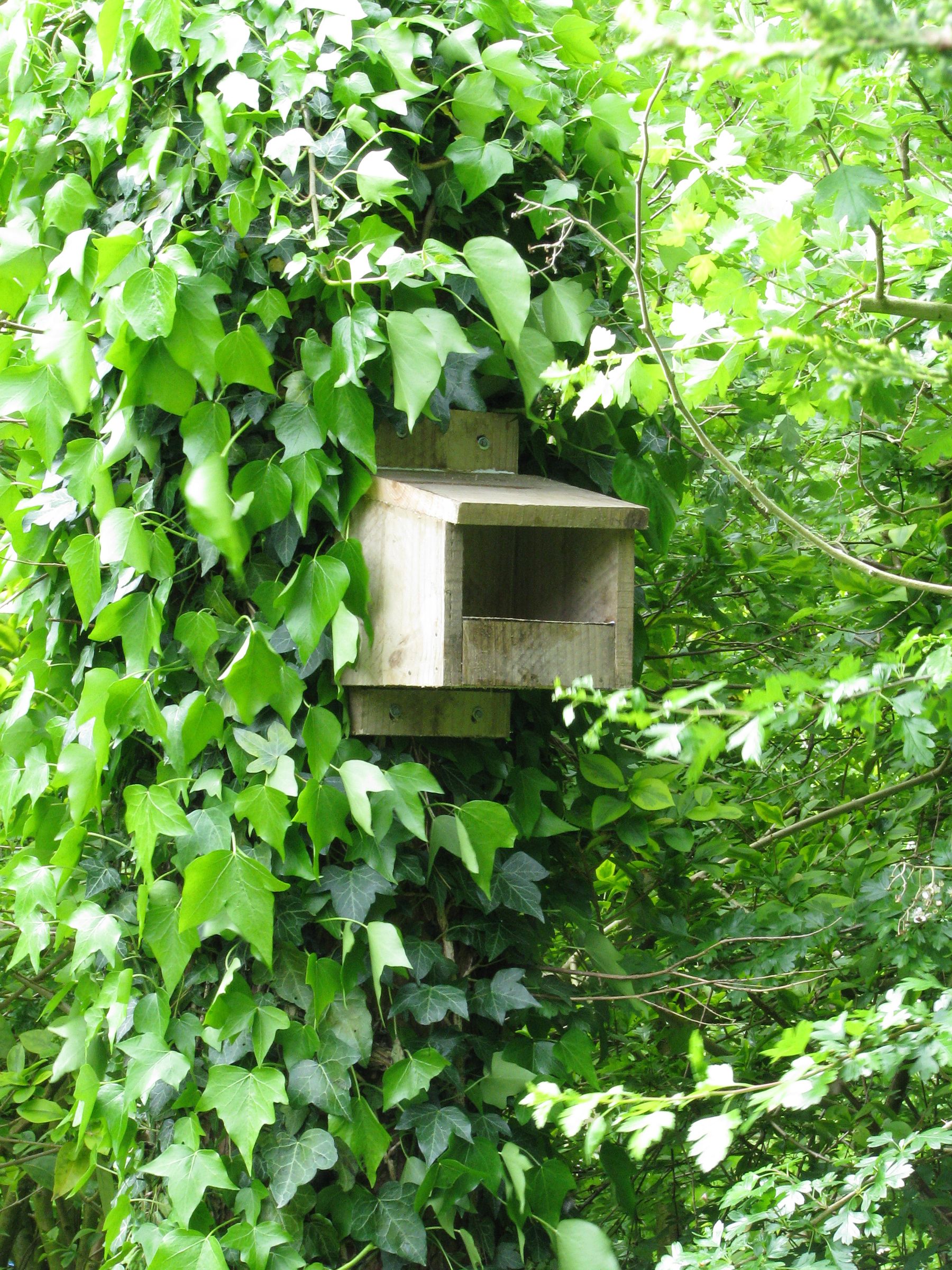 Simple Bird Nesting Box : 5 Steps (with Pictures) - Instructables
