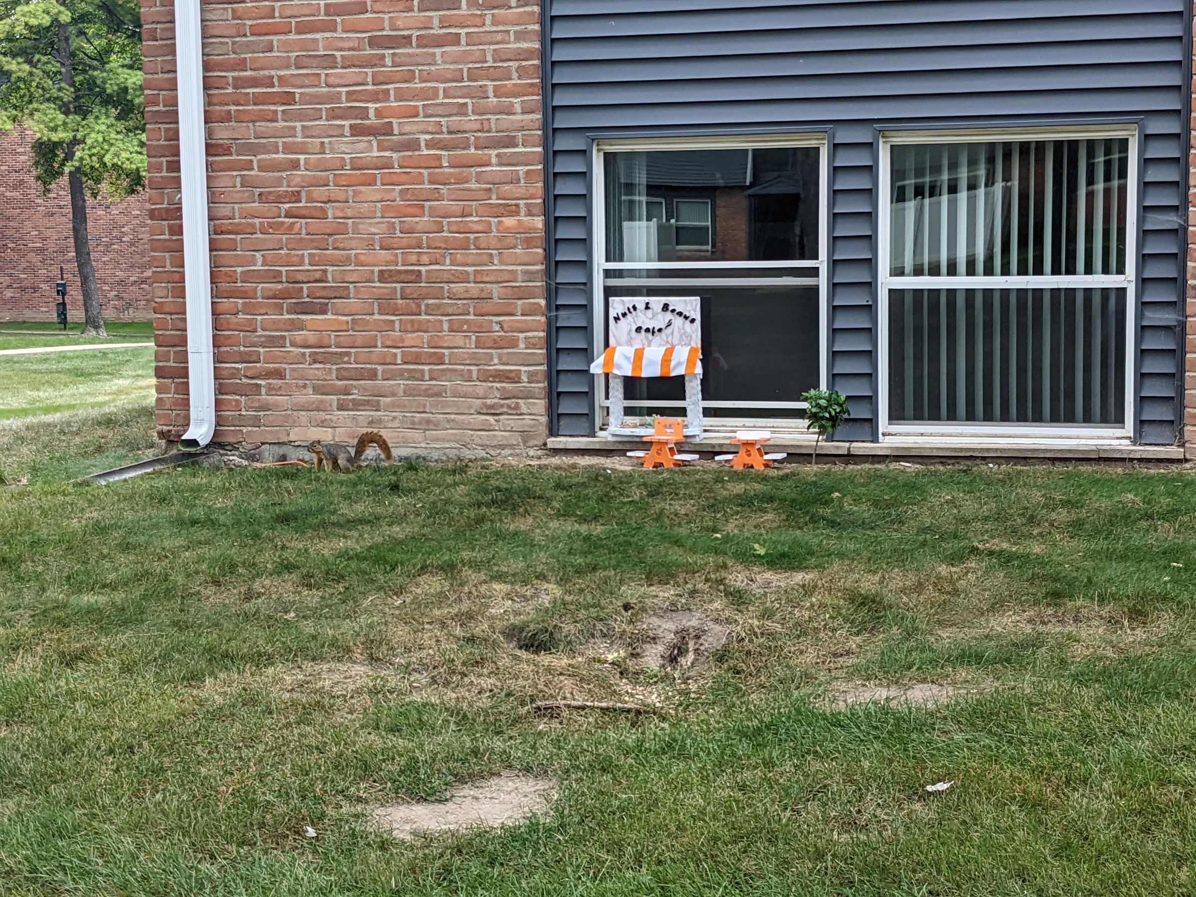 Making a Squirrel Cafe : 8 Steps (with Pictures) - Instructables