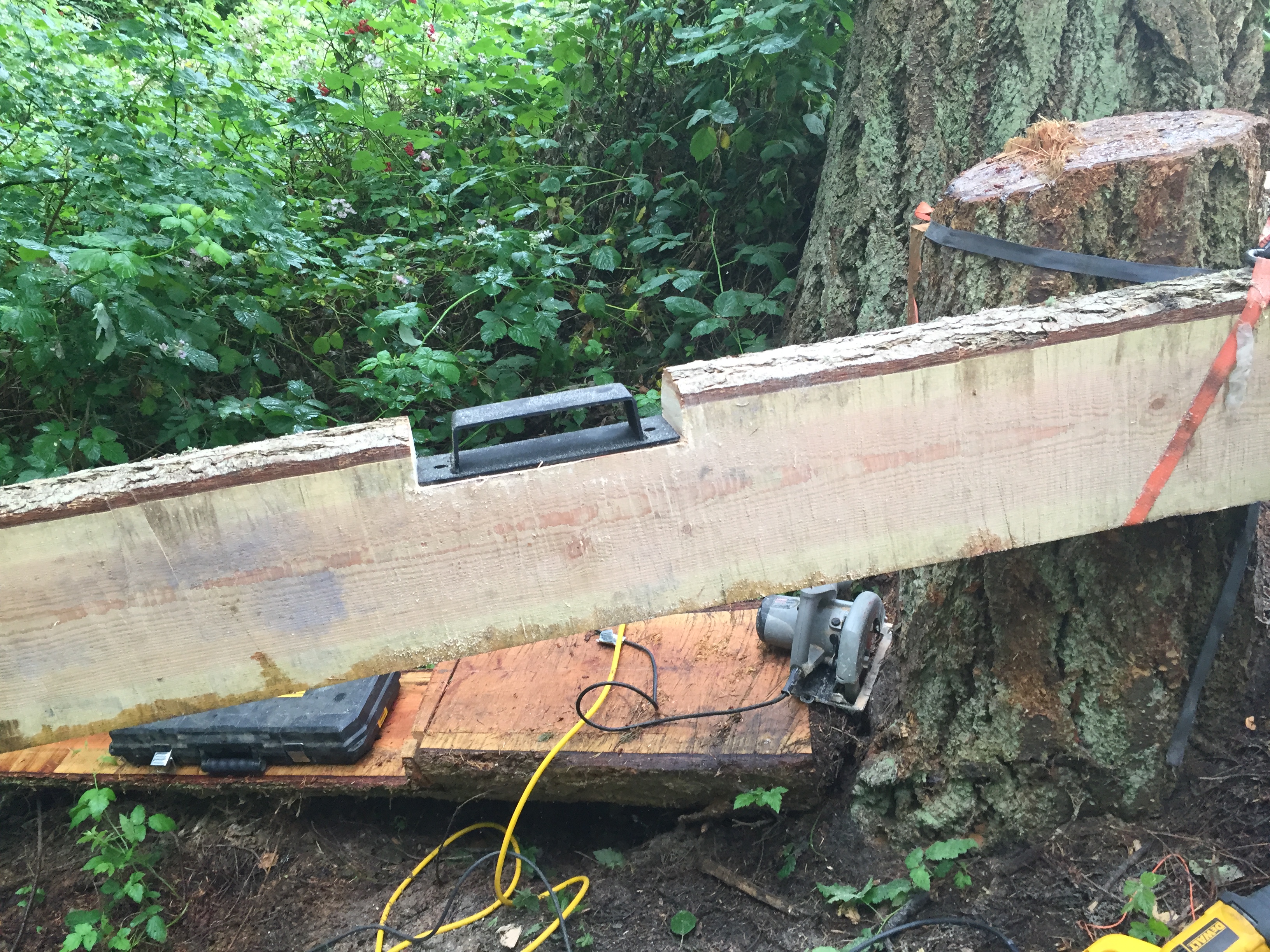 Treehouse Build : 10 Steps (with Pictures) - Instructables