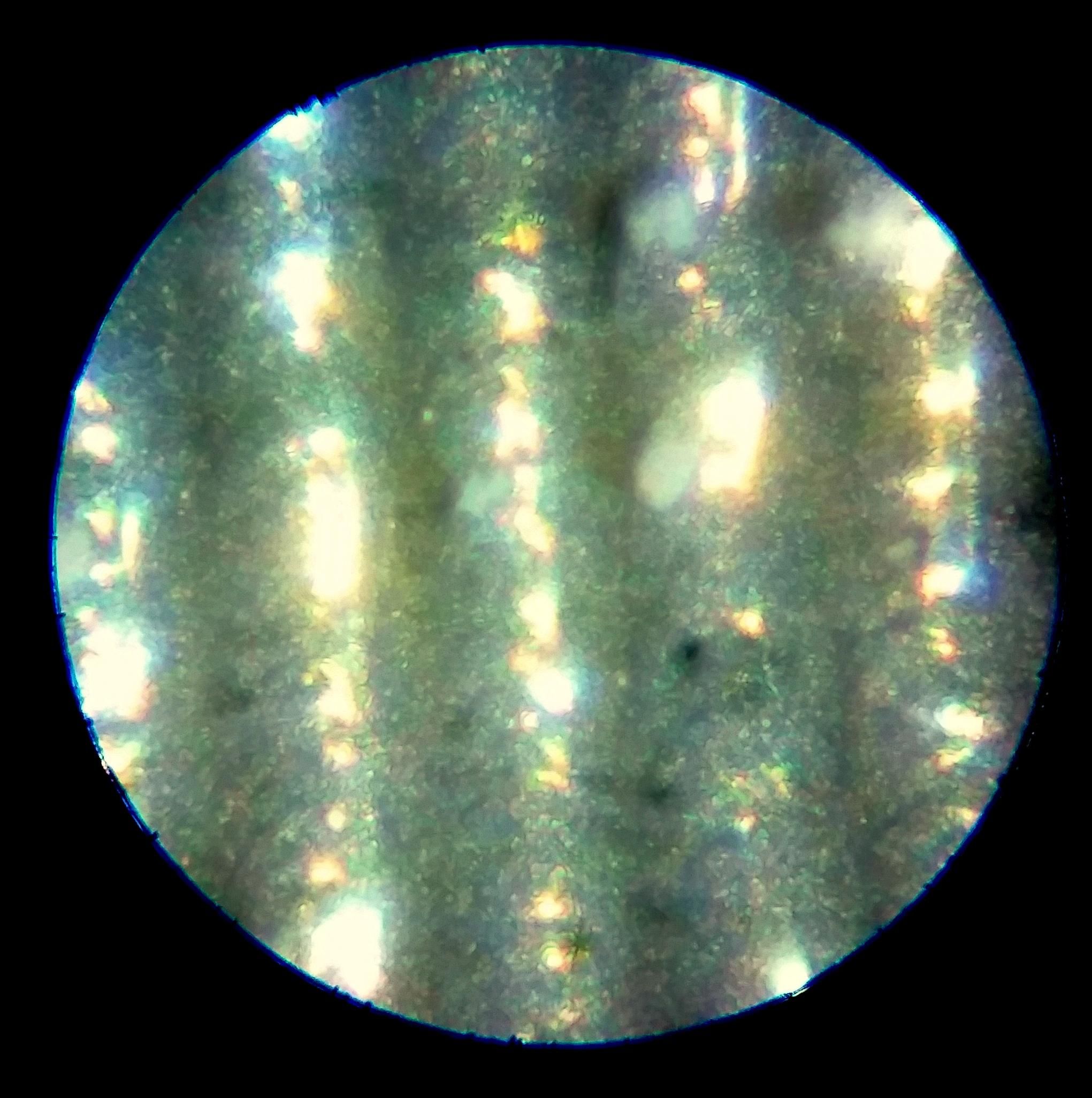 Laser-Induced Graphene (LIG) at Home! : 12 Steps (with Pictures ...