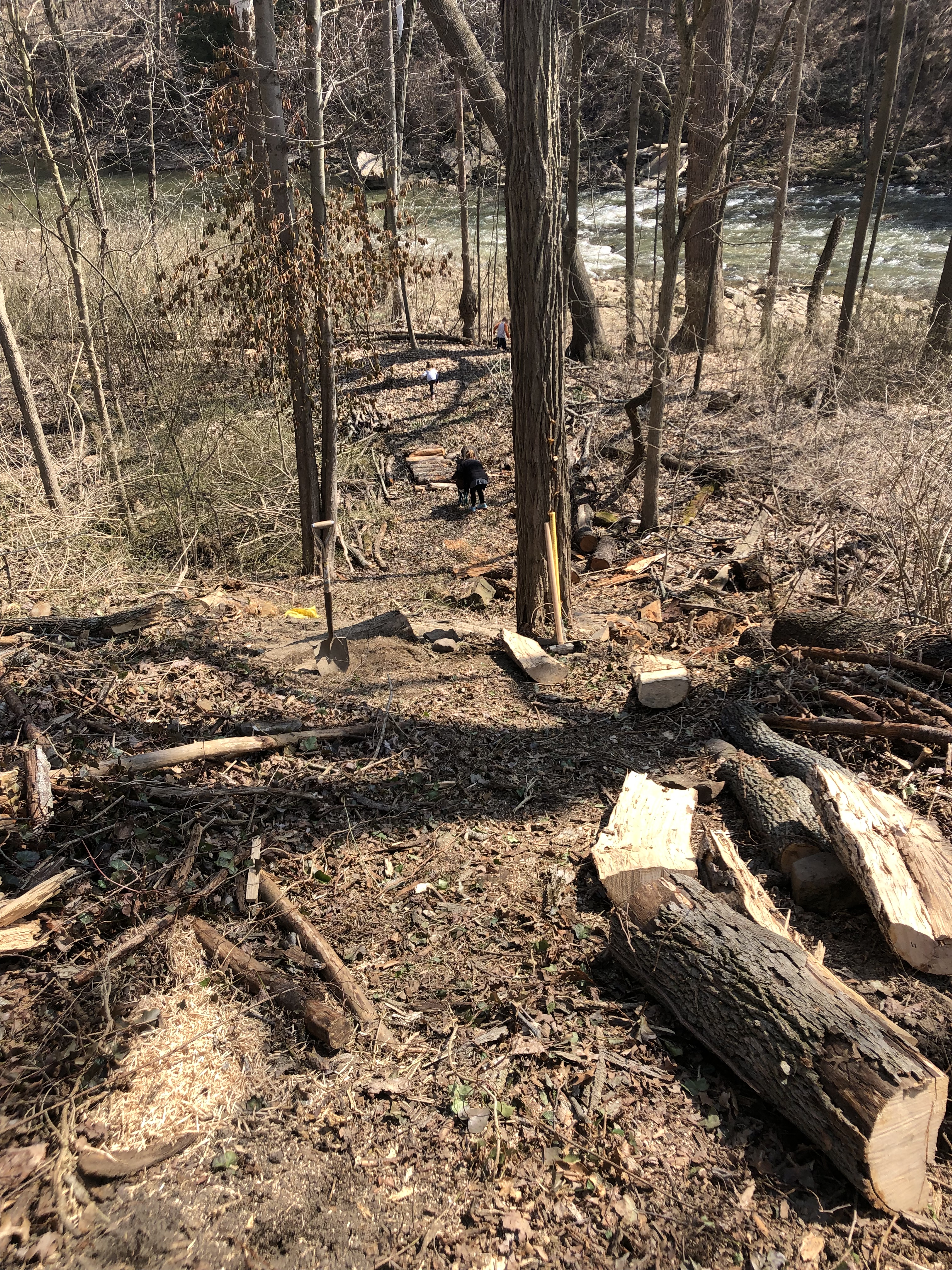 Log Path Cut Into a Hill : 5 Steps (with Pictures) - Instructables