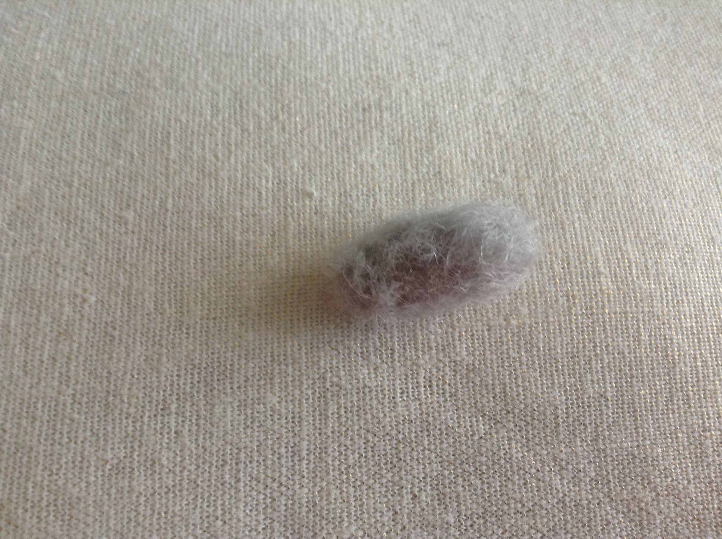 Felted Kitty Cats : 10 Steps (with Pictures) - Instructables