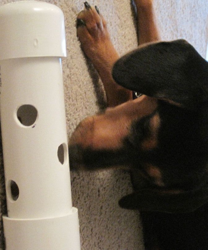 PVC Dog Toy : 4 Steps - Instructables