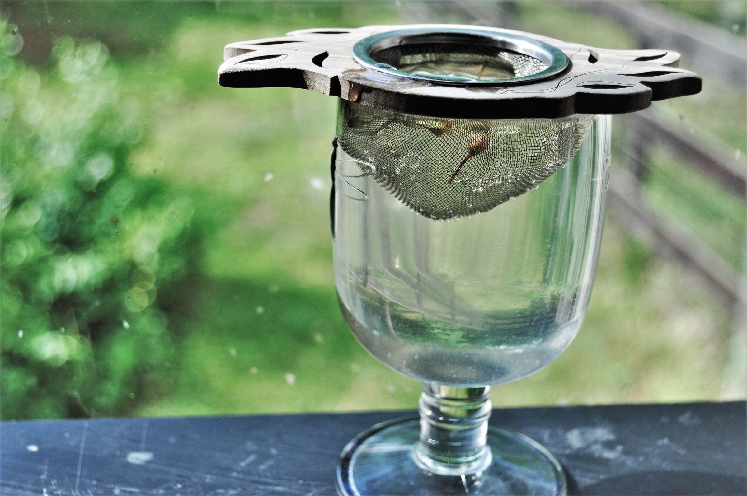 Black Locust Flower Cold Brew Tea : 4 Steps (with Pictures) - Instructables