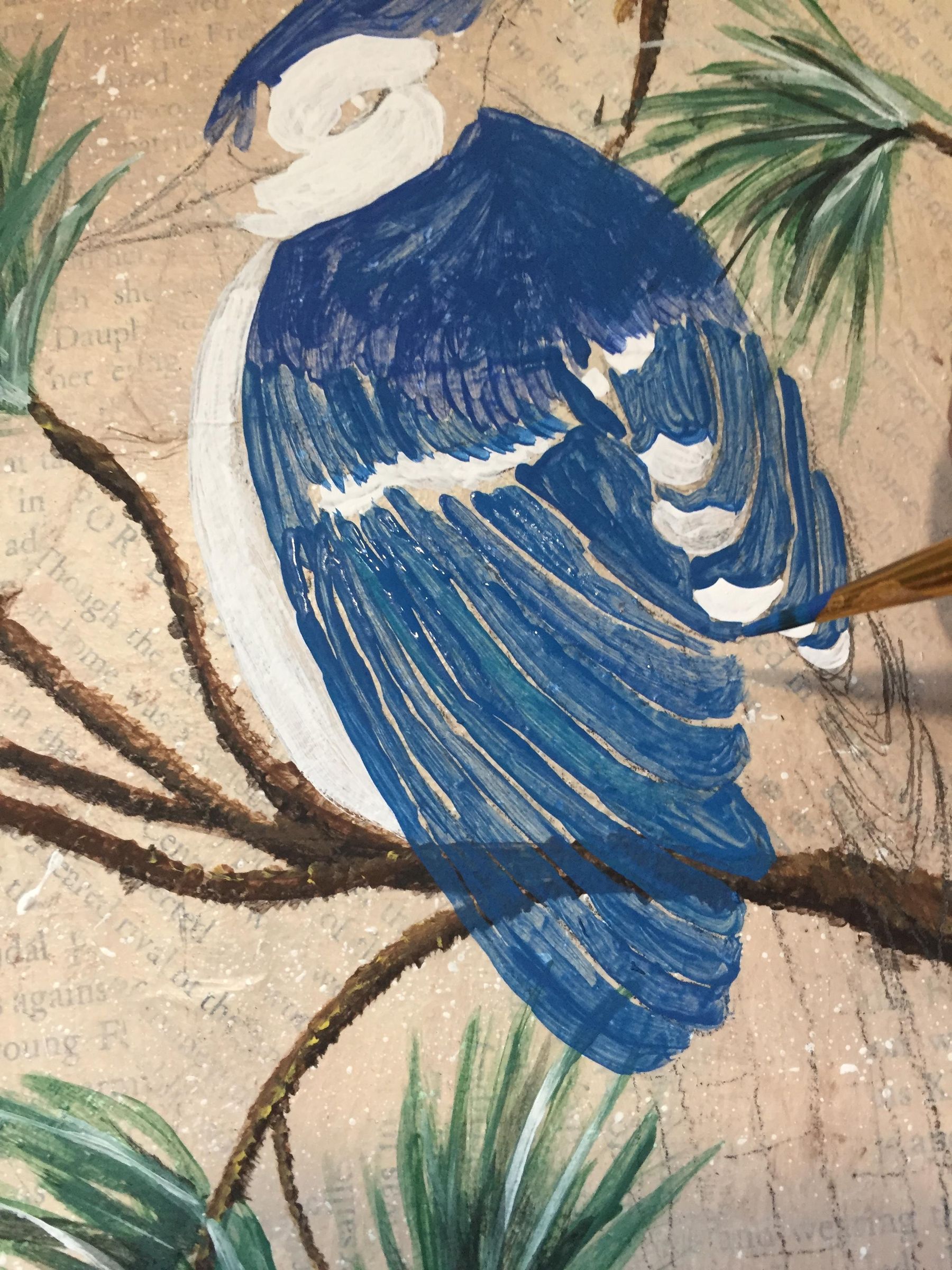 How to Paint a Blue Jay on a Branch. : 13 Steps (with Pictures ...