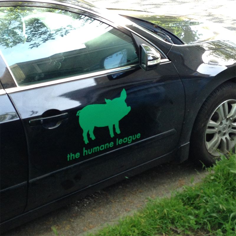 Car Decal Sticker - Made With a Vinyl Cutter : 7 Steps (with Pictures ...