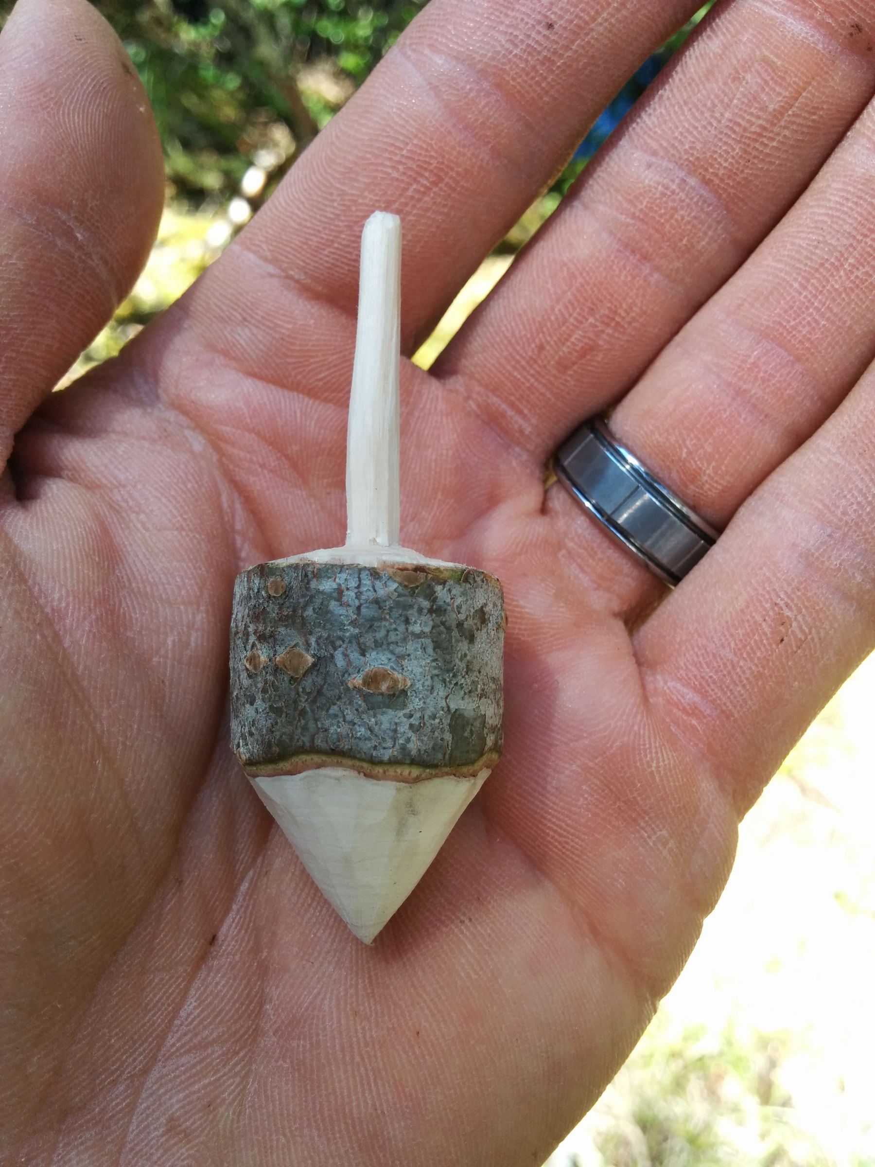 Hand Carved Spinning Top : 6 Steps (with Pictures) - Instructables