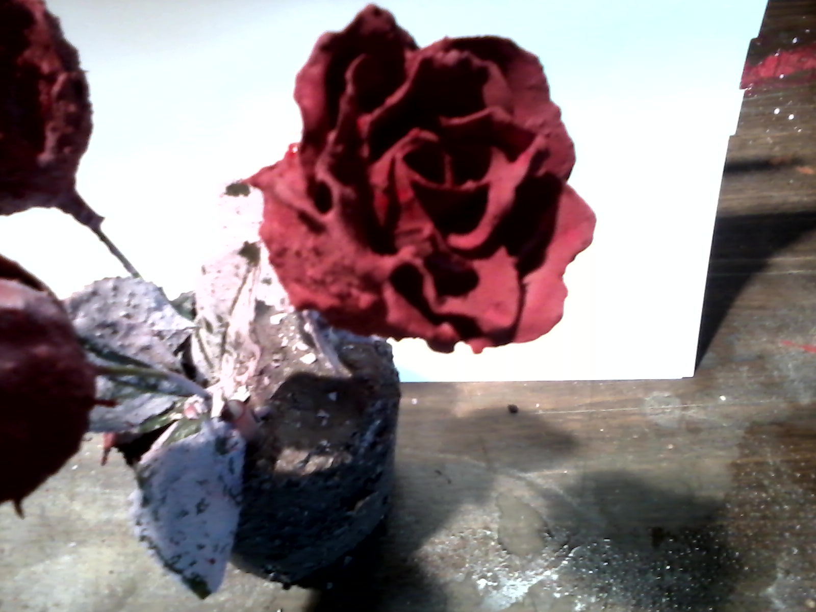 Getting Stoned : 6 Steps - Instructables