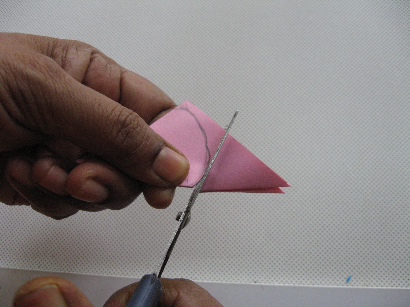 How to Make Real Looking Paper Roses : 7 Steps (with Pictures ...
