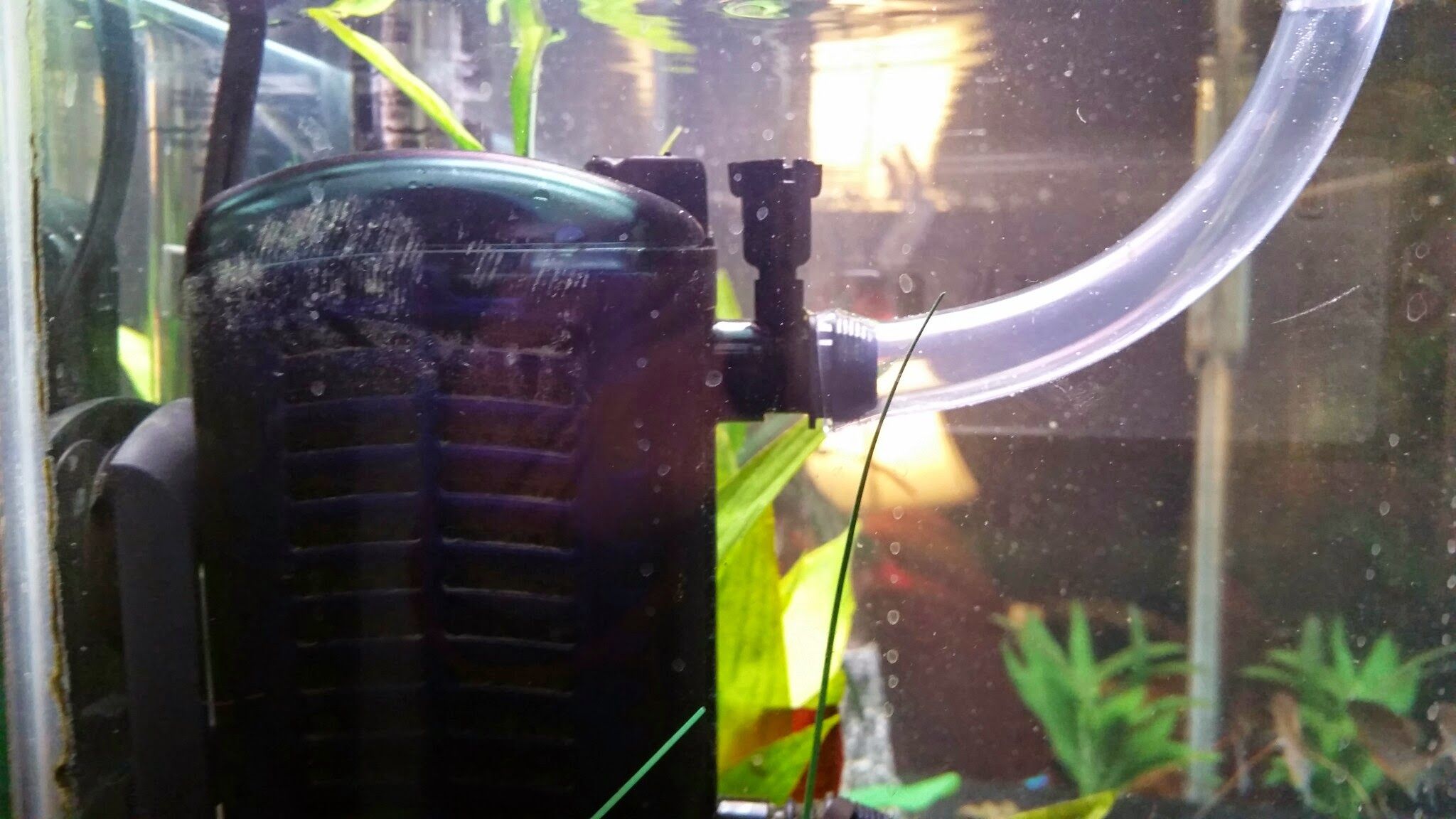 Aquaponic Fish Tank Topper : 8 Steps (with Pictures) - Instructables