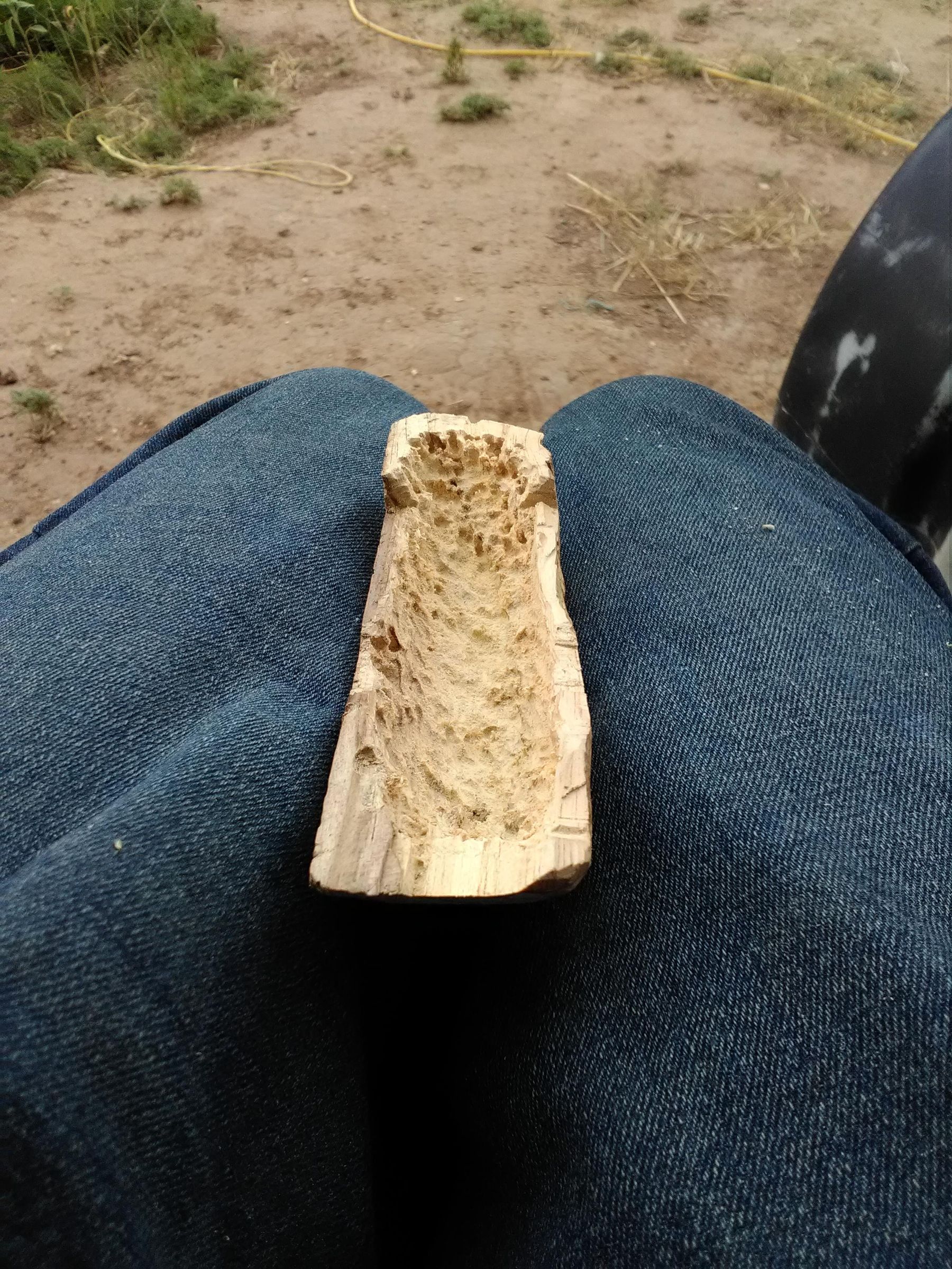 Fashion Meets Function!!! How to Make Inuit Snow Goggles for Unique ...