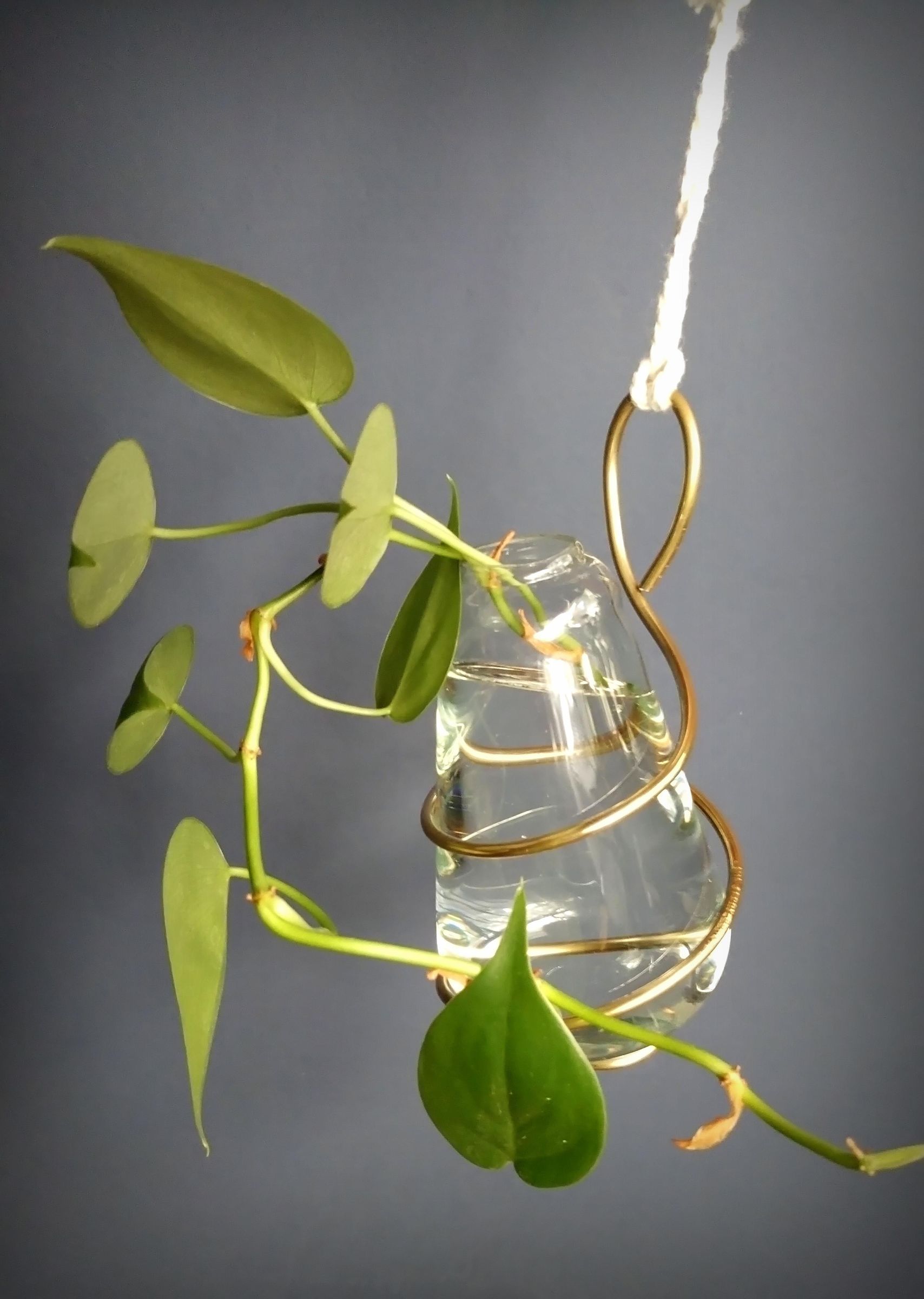 Water Propping Station From Light Bulbs : 8 Steps (with Pictures ...