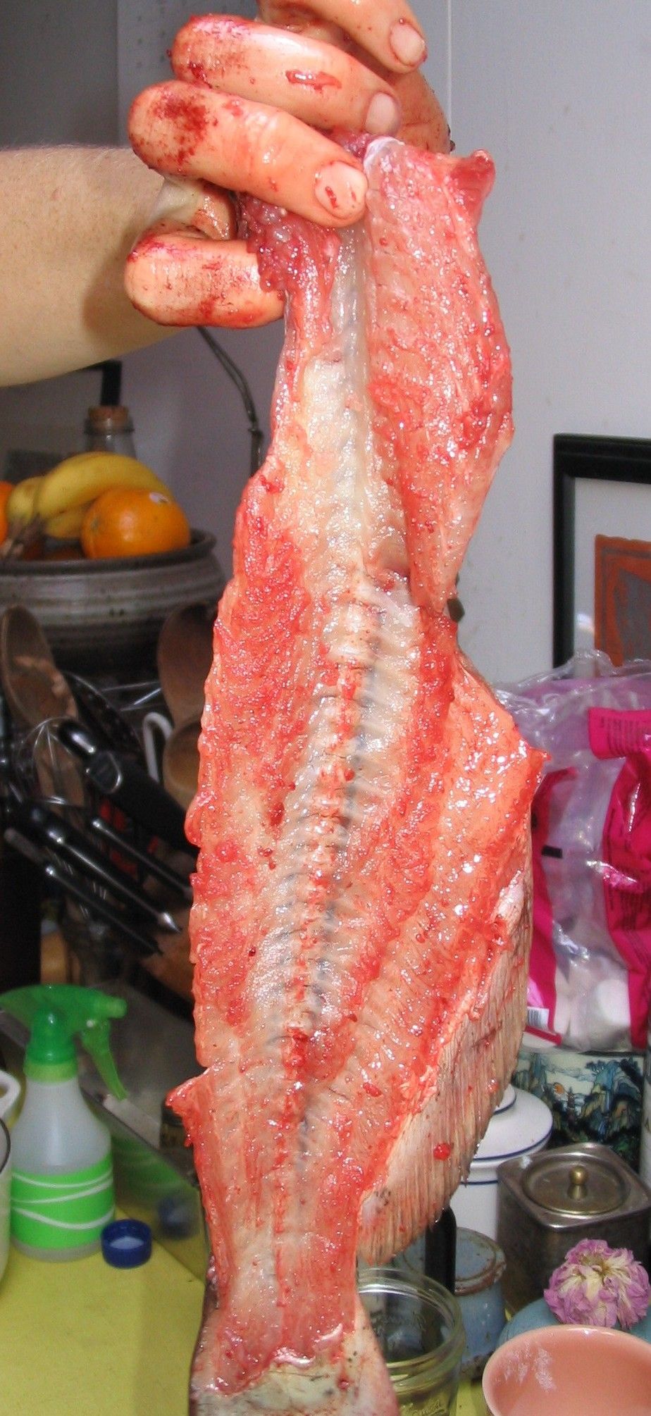 Skinning and Filleting Catfish : 13 Steps (with Pictures) - Instructables