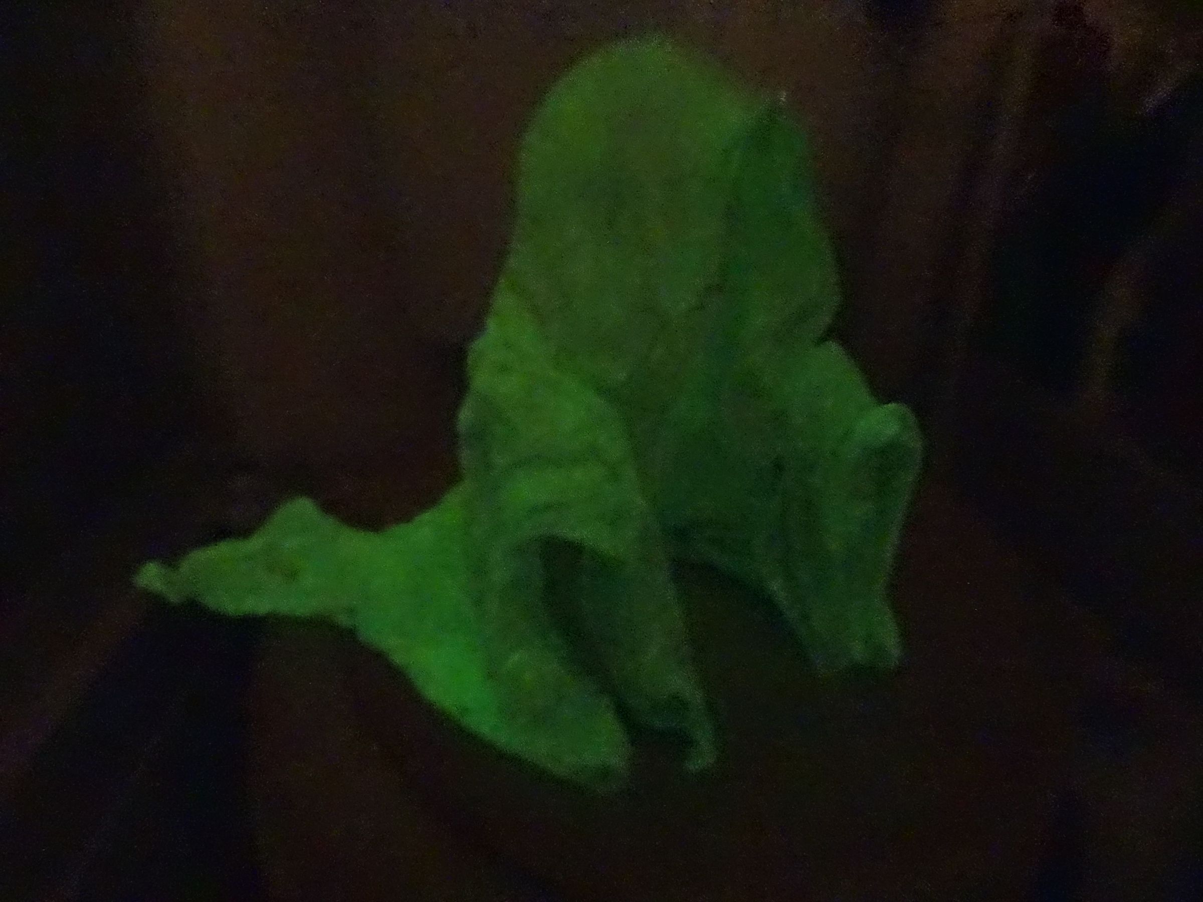 Glow in the Dark Cloth Ghost : 5 Steps (with Pictures) - Instructables