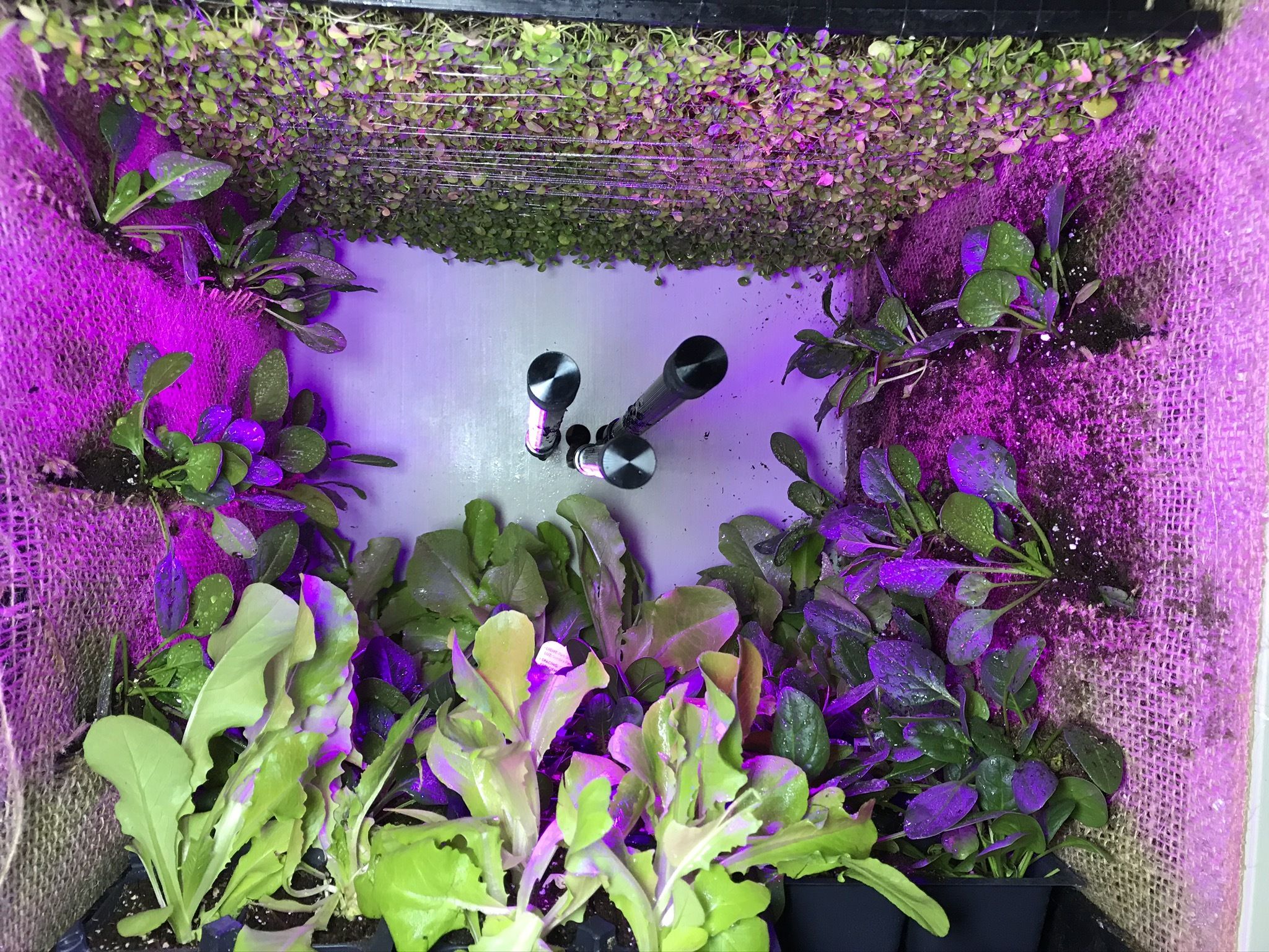 Zero Gravity Garden -Grow Beyond Earth : 6 Steps - Instructables