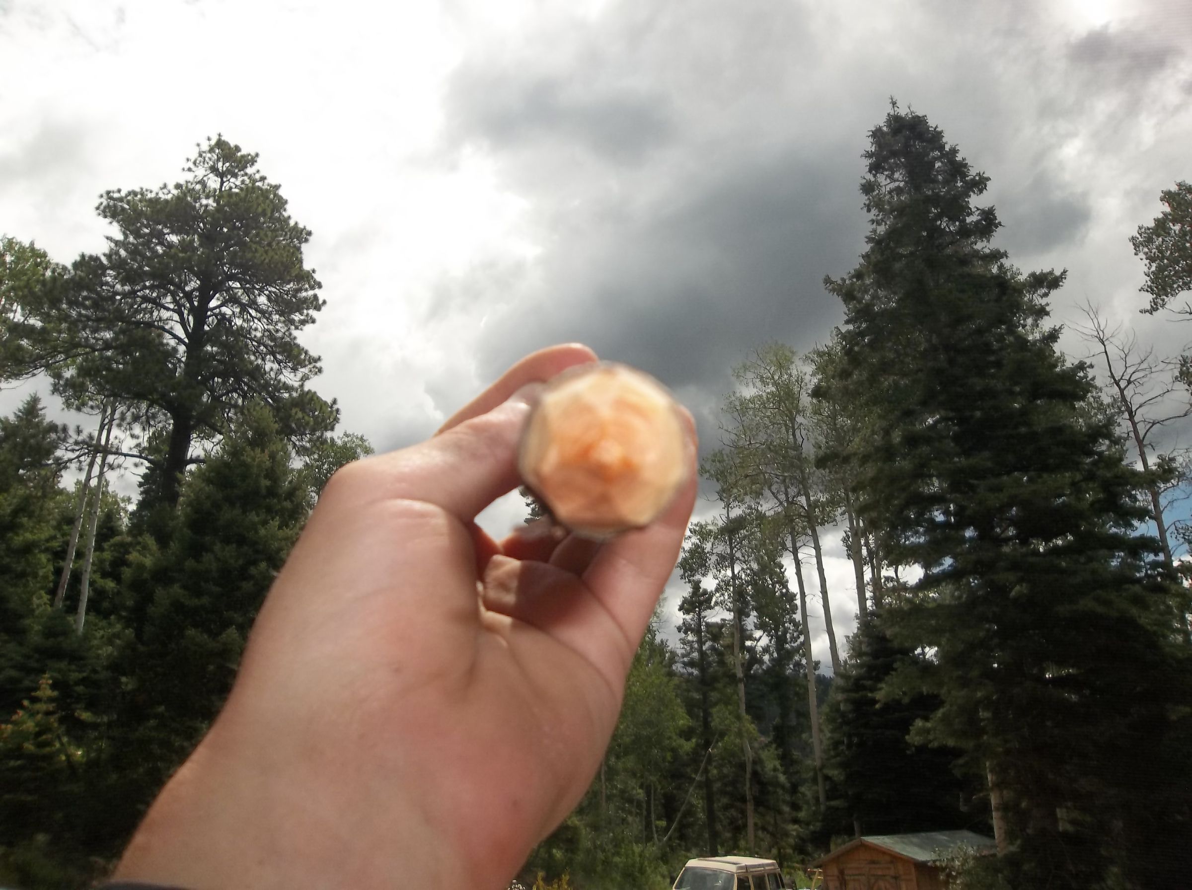 Primitive Fire Starting: the Bow Drill : 9 Steps (with Pictures ...