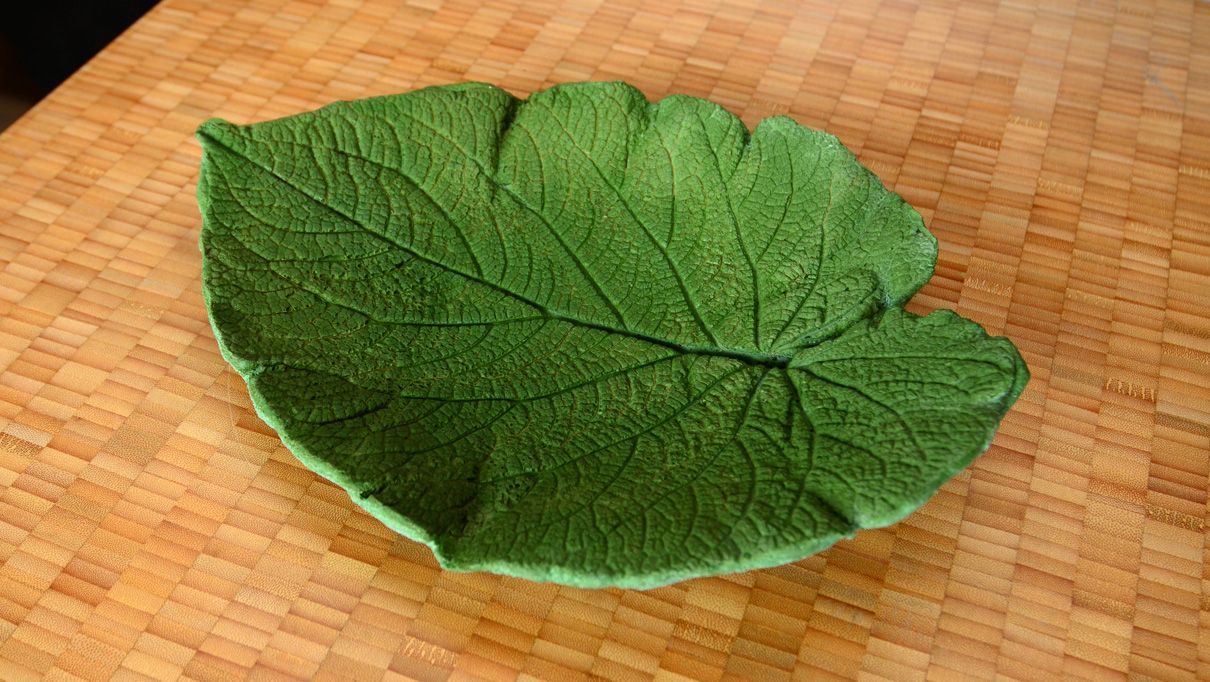 Shape Your Own : Decorative Concrete Leaf : 5 Steps - Instructables