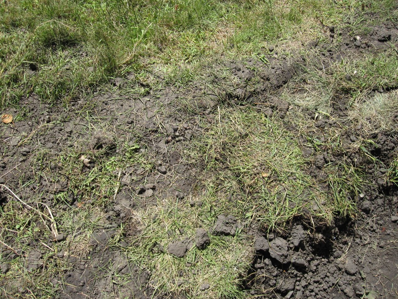 Disappearing Water Fountain : 10 Steps (with Pictures) - Instructables