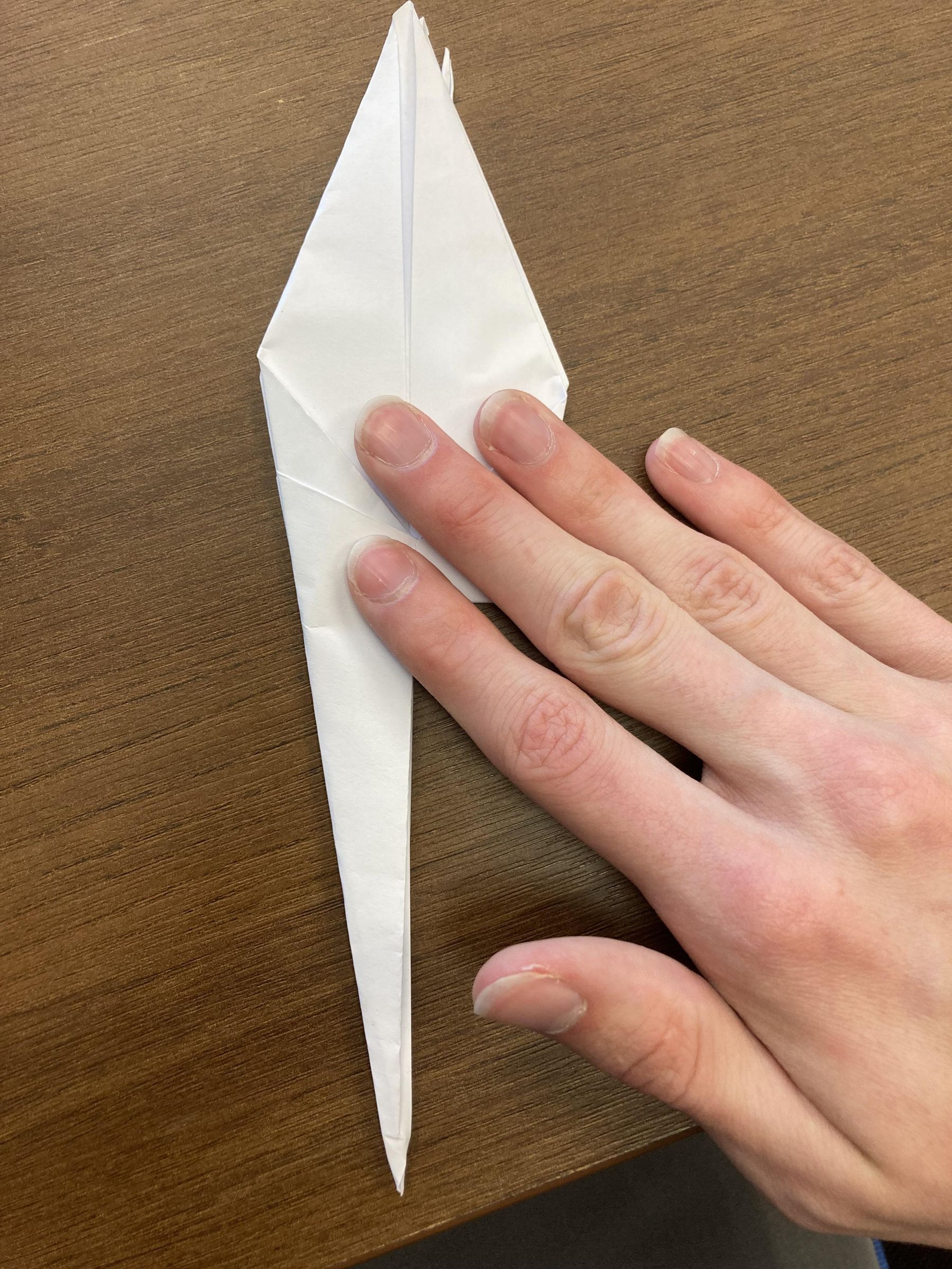 Folding a Paper Crane : 16 Steps (with Pictures) - Instructables