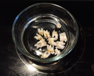 Bleaching/Whitening Deer Bones and Teeth : 5 Steps - Instructables