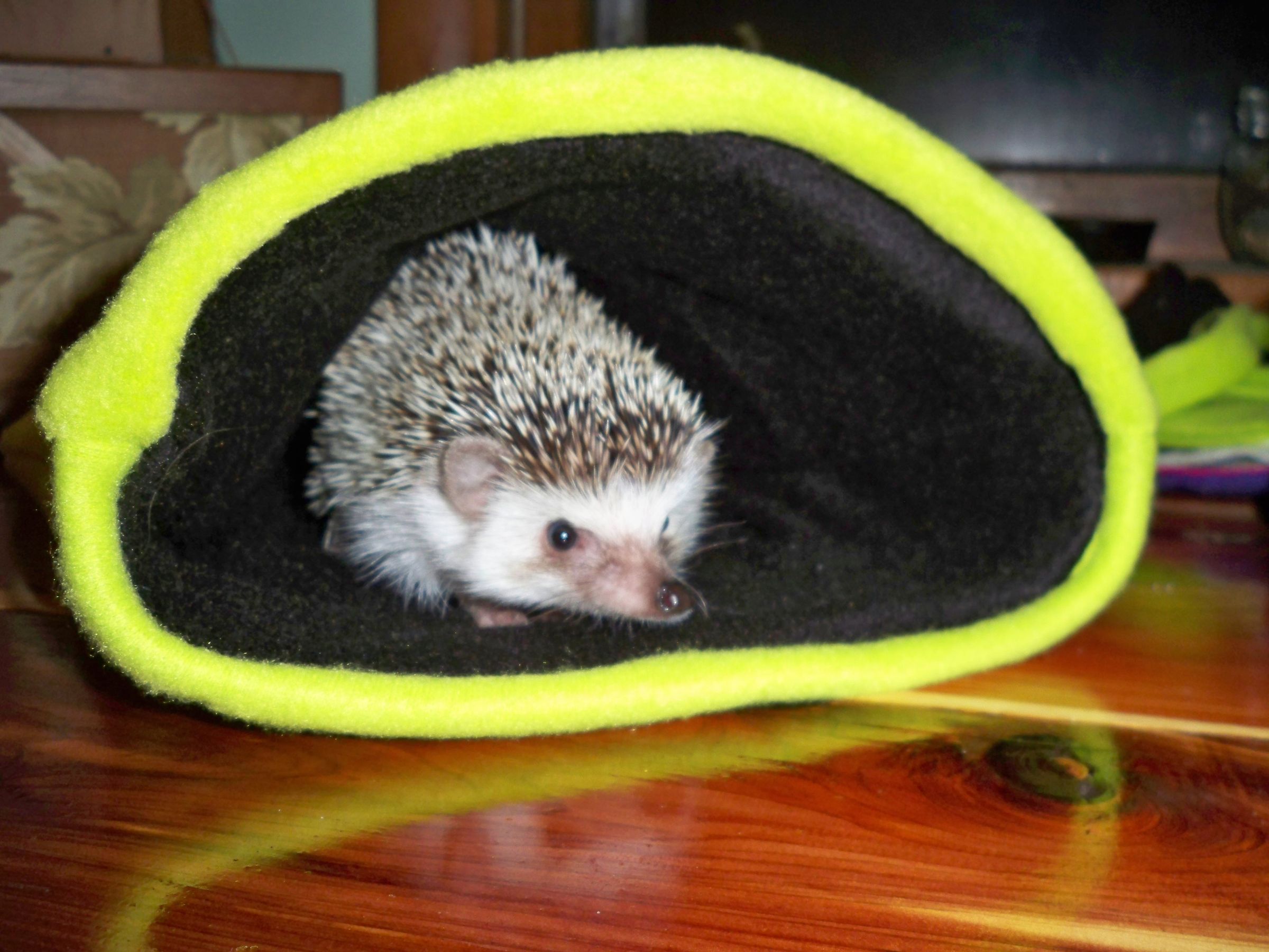 Reversable Hedgehog Snuggle Bag : 5 Steps (with Pictures) - Instructables