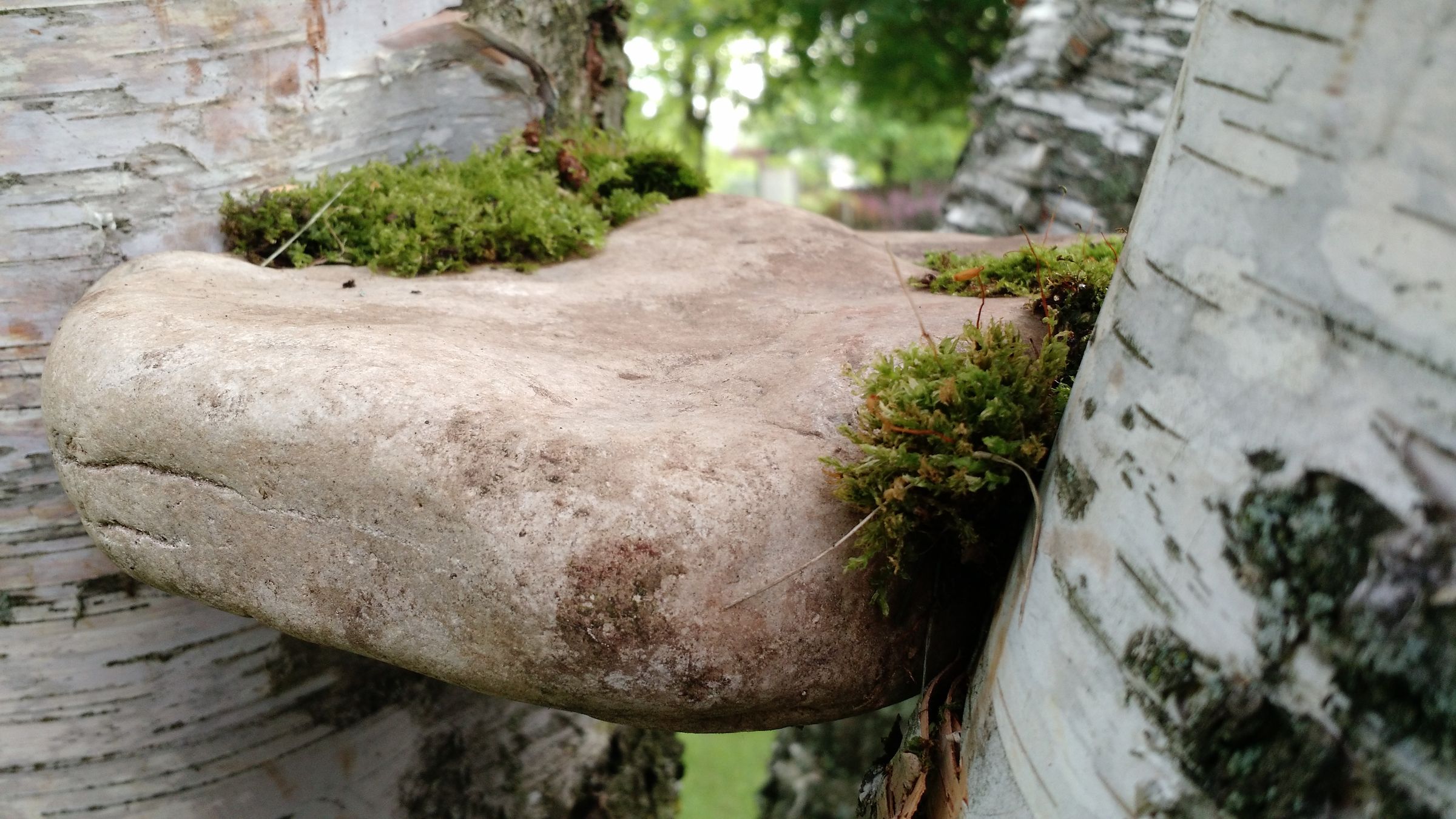 Repurpose Your Rocks! : 3 Steps - Instructables