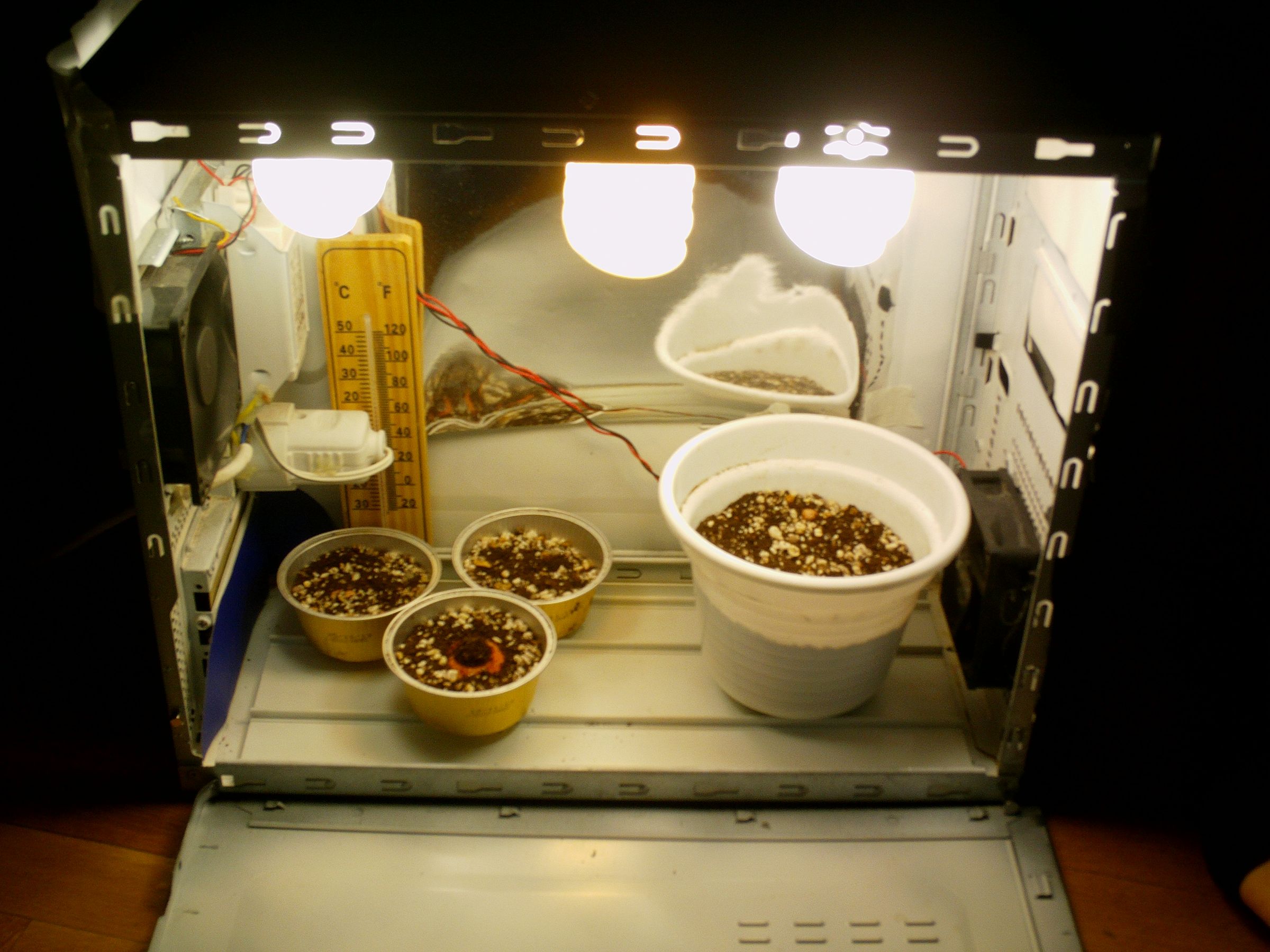 Transforming an Old PC Box Into a Mini-indoor Grow System. Transformar ...