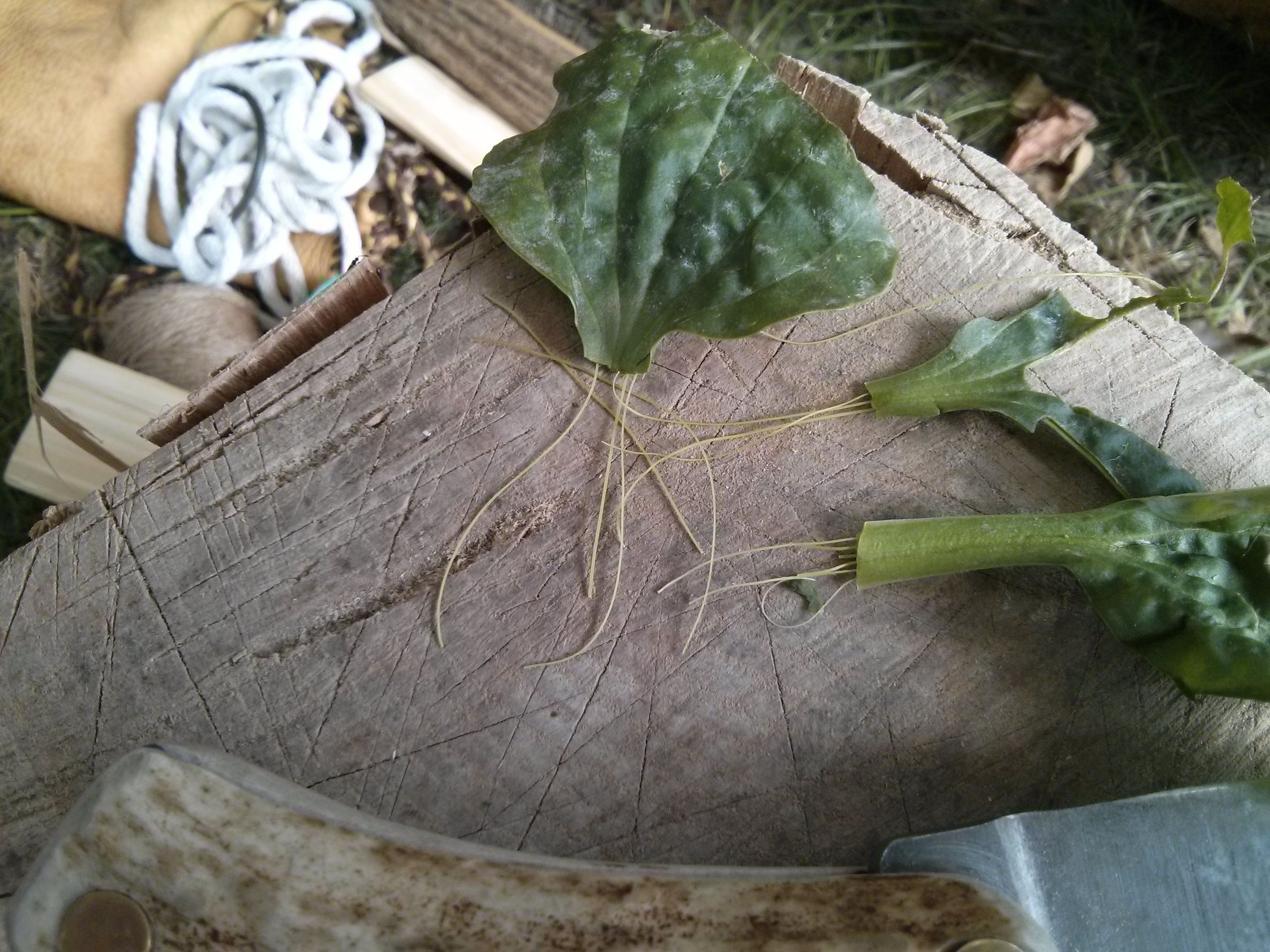 Primitive Net Making From Carving Your Needle to Weaving Your Net : 10 ...