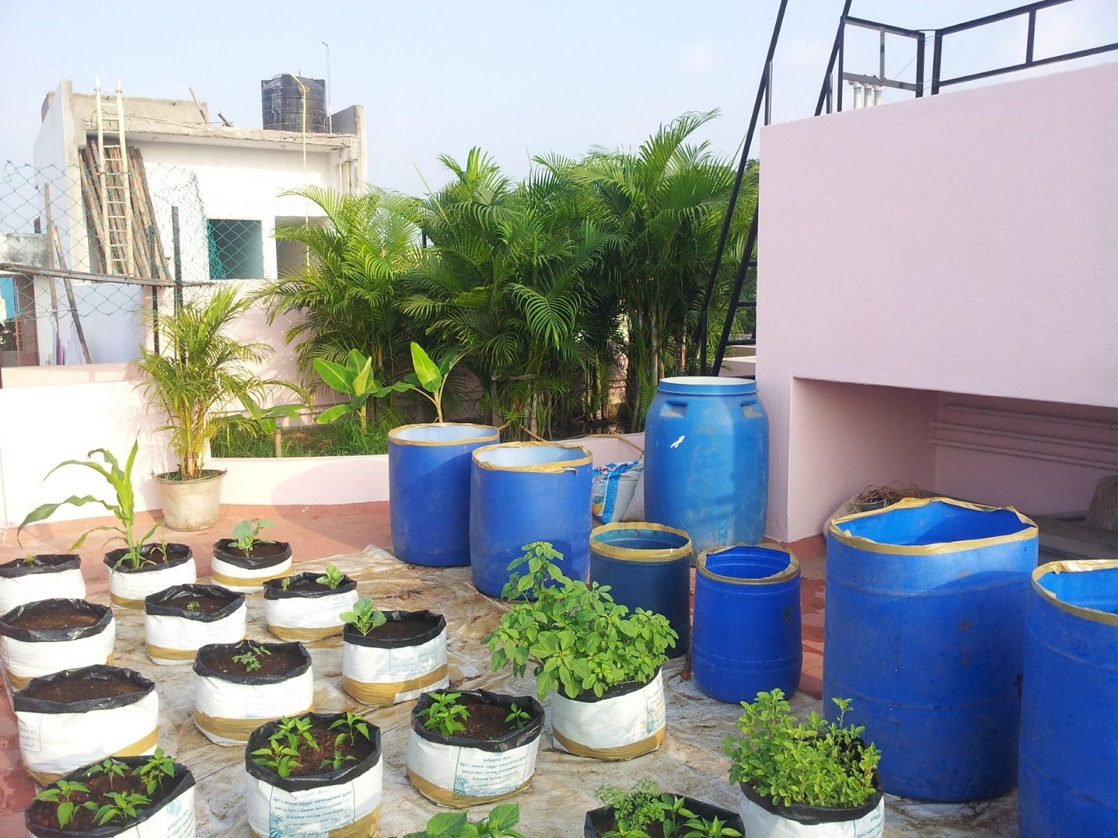 Roof Gardening : 21 Steps (with Pictures) - Instructables