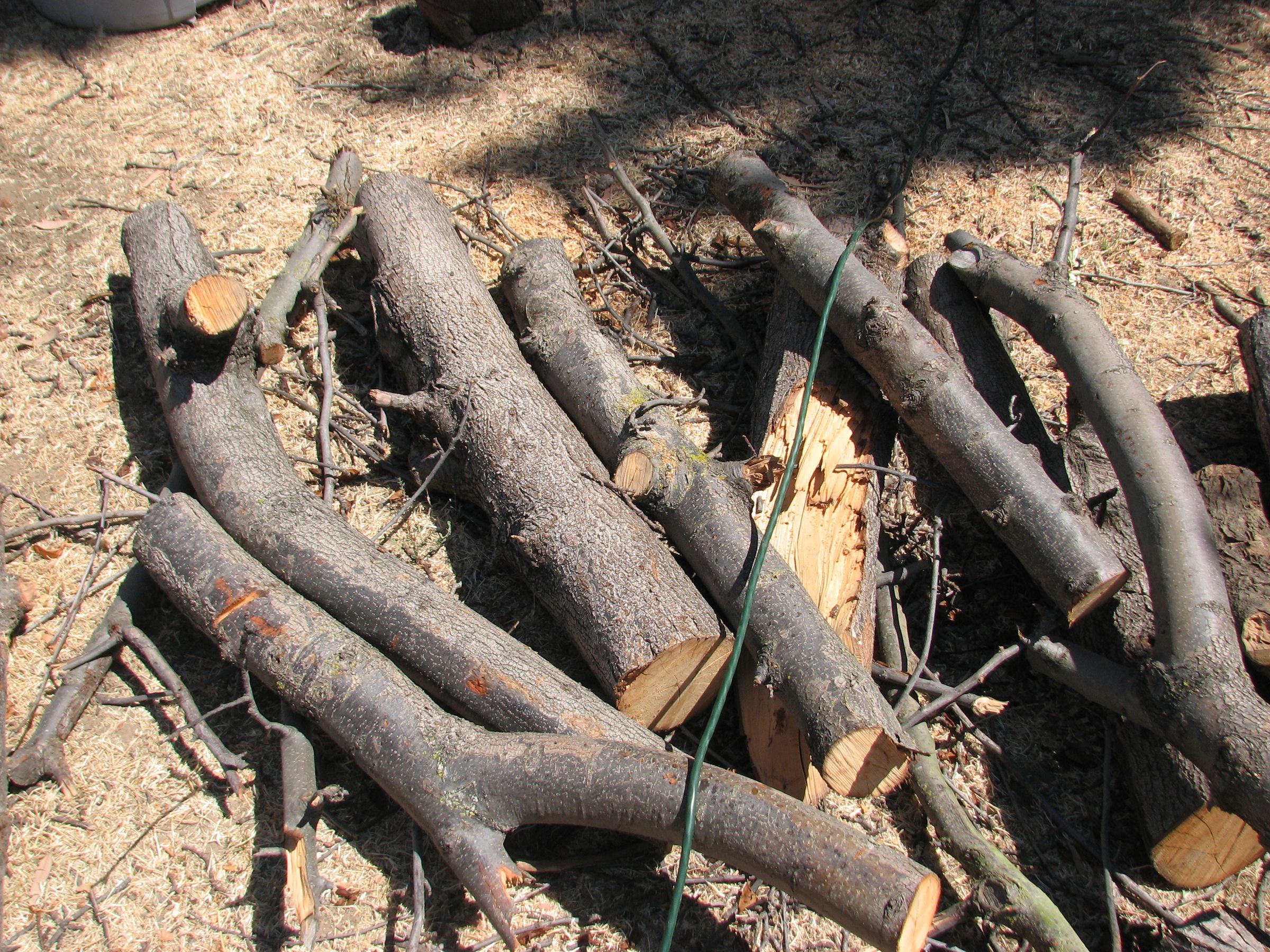 Dead Tree, 37 Gifts : 5 Steps (with Pictures) - Instructables