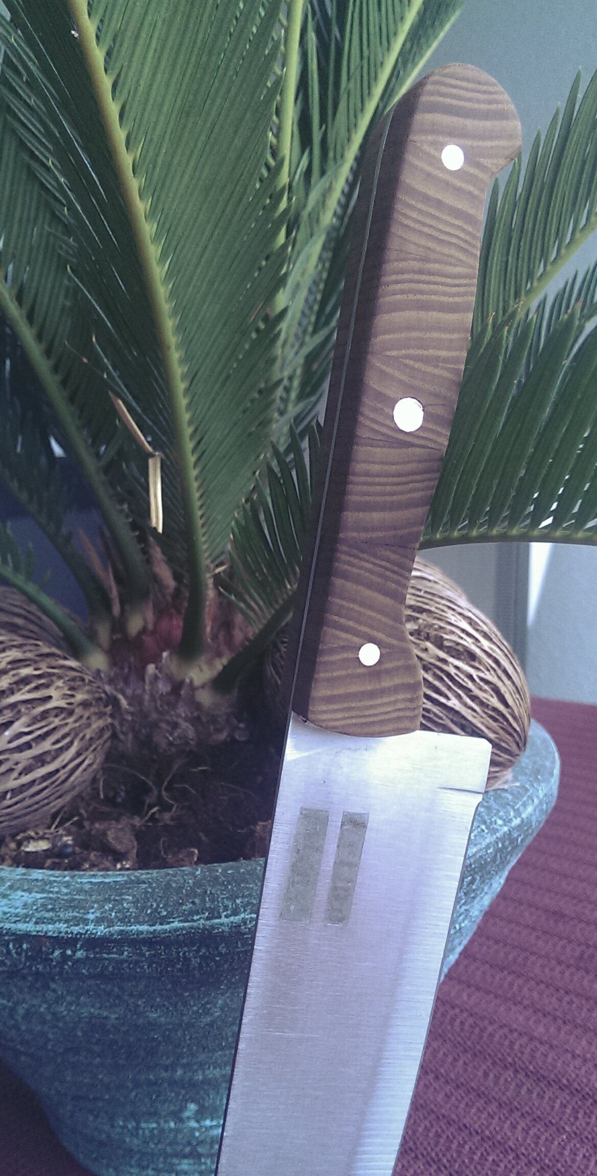 Handle Scales From Scrap : 3 Steps (with Pictures) - Instructables