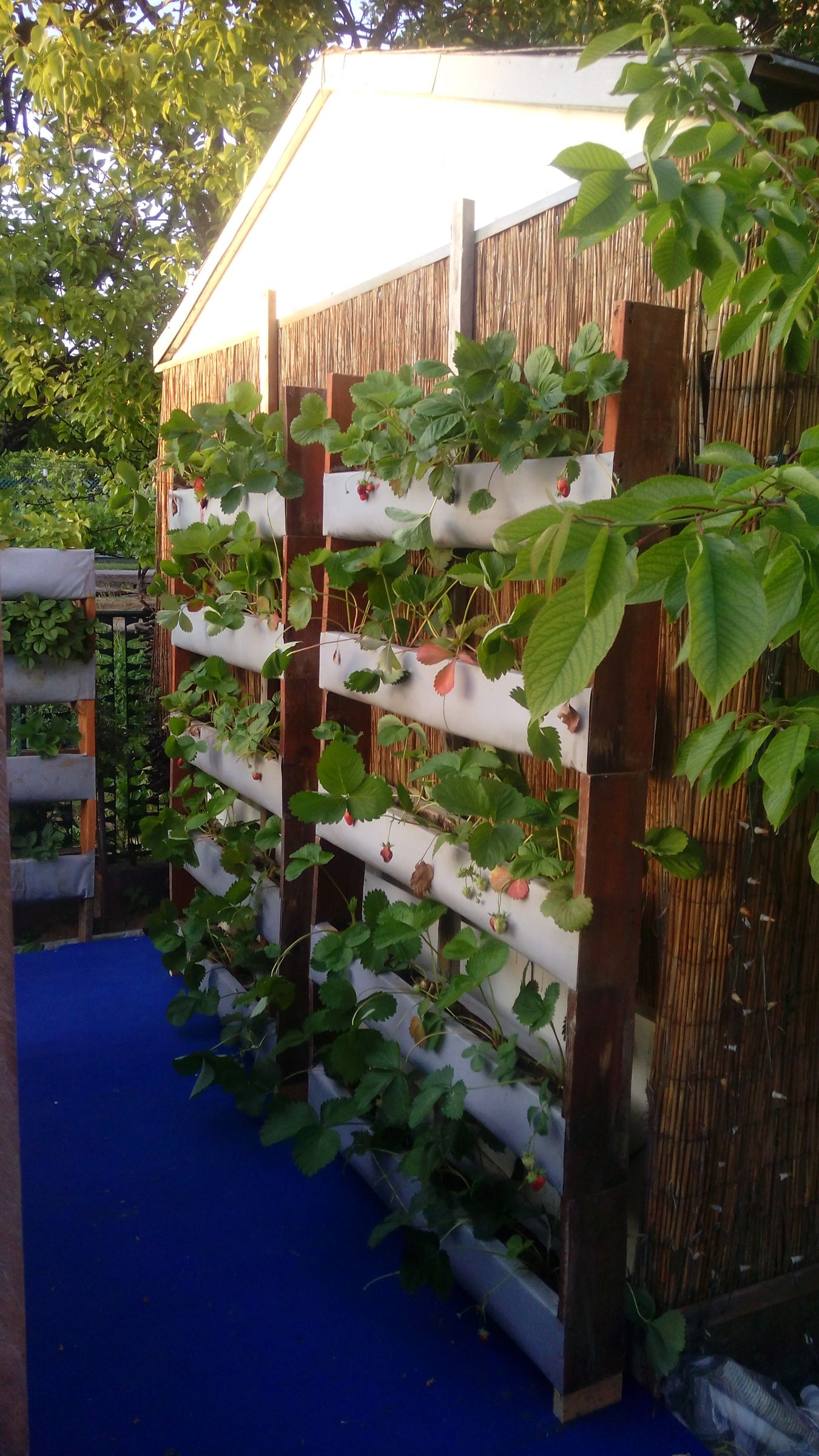Modular Vertical Garden. : 5 Steps (with Pictures) - Instructables