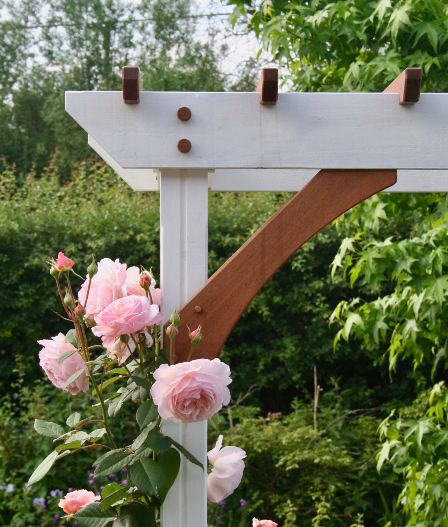Garden Rose Arbour : 12 Steps (with Pictures) - Instructables