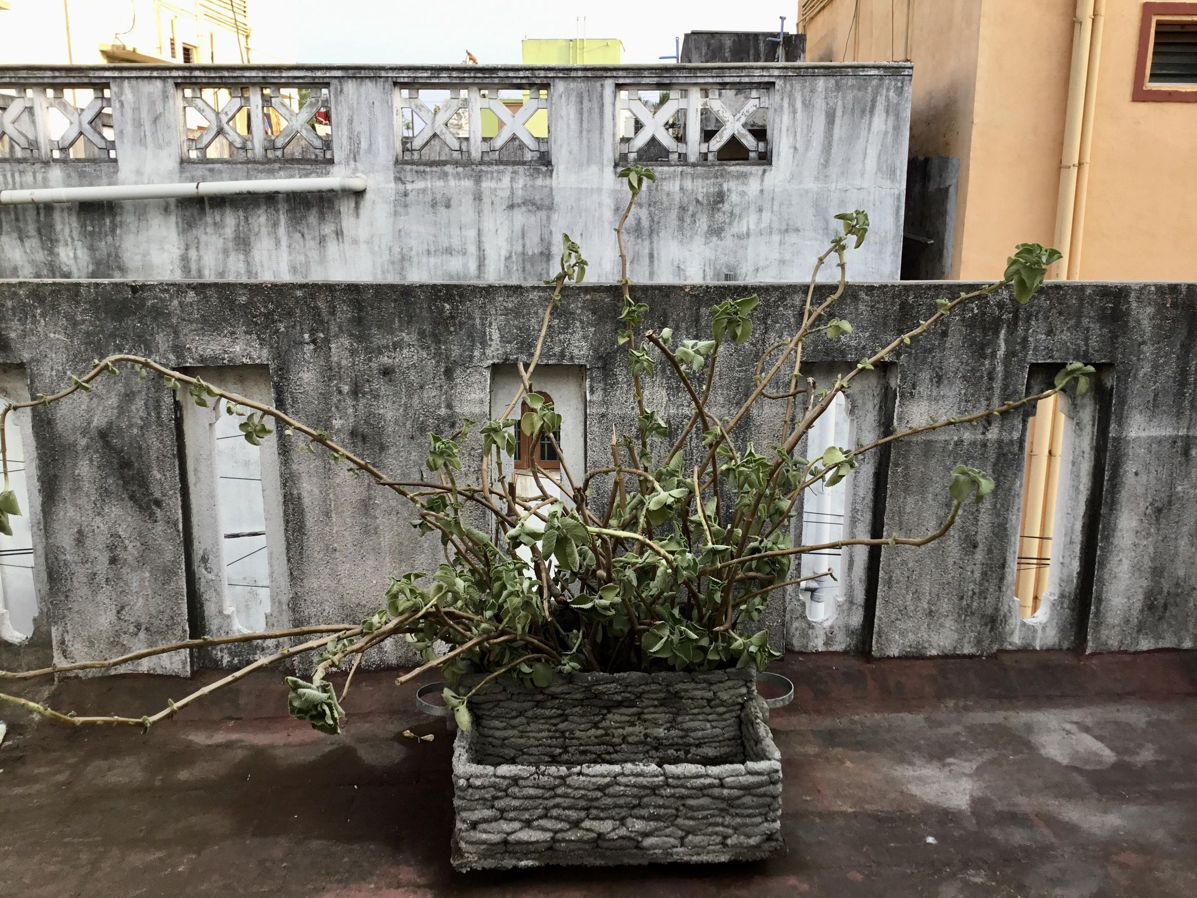 Make Giant Pots(Styrofoam, Gravel) for Bigger Plants, With Cement! : 20 ...