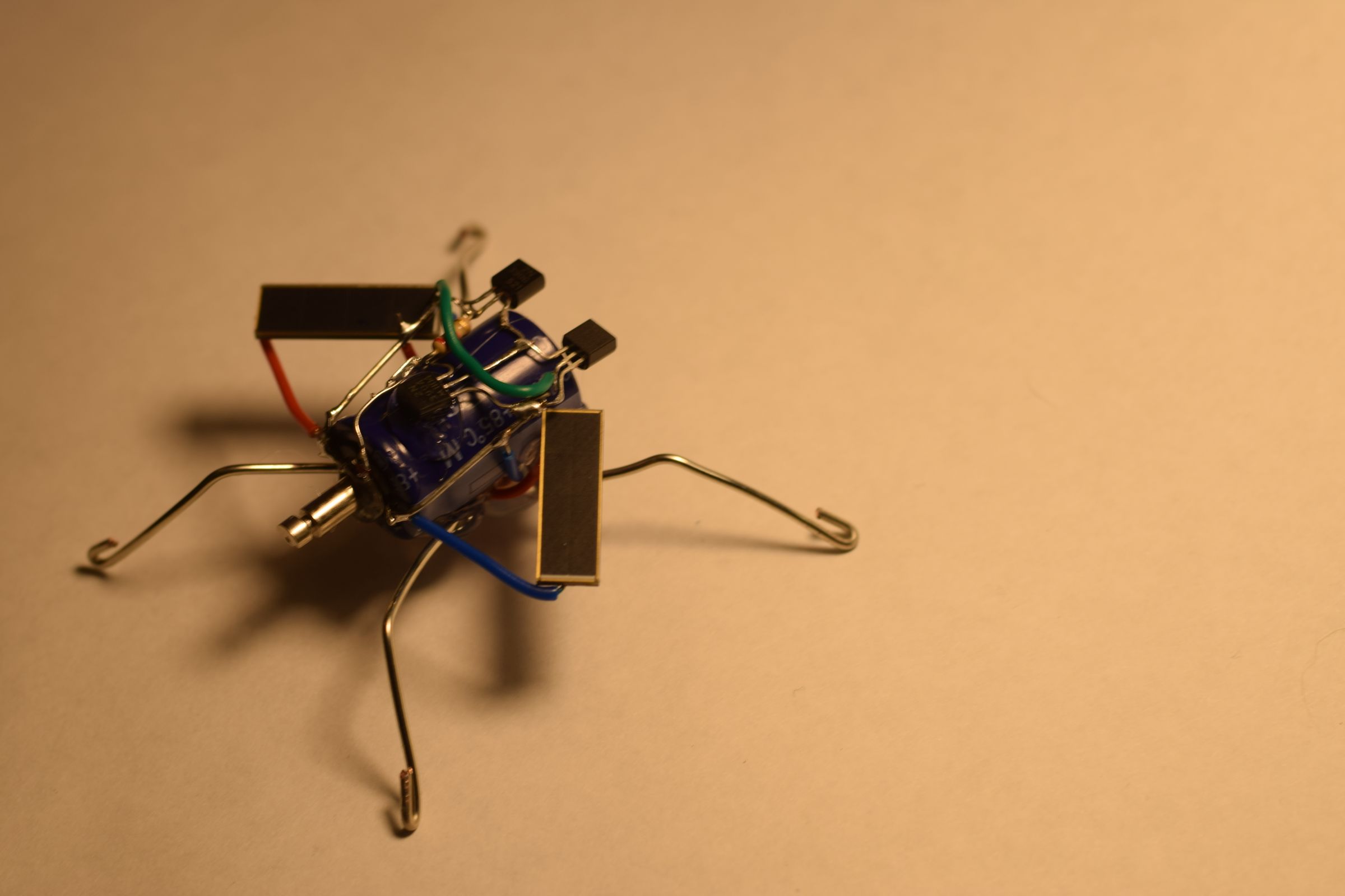 Make a Solar Powered Bug Robot : 9 Steps (with Pictures) - Instructables