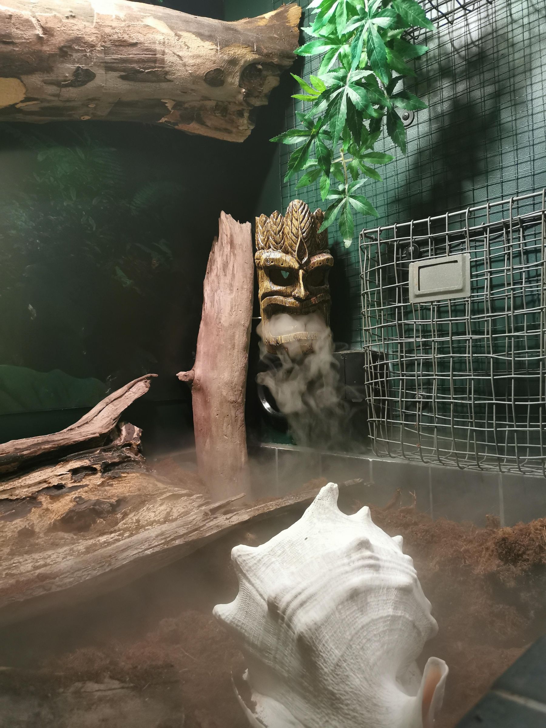 Vivarium for a Reptile : 12 Steps (with Pictures) - Instructables