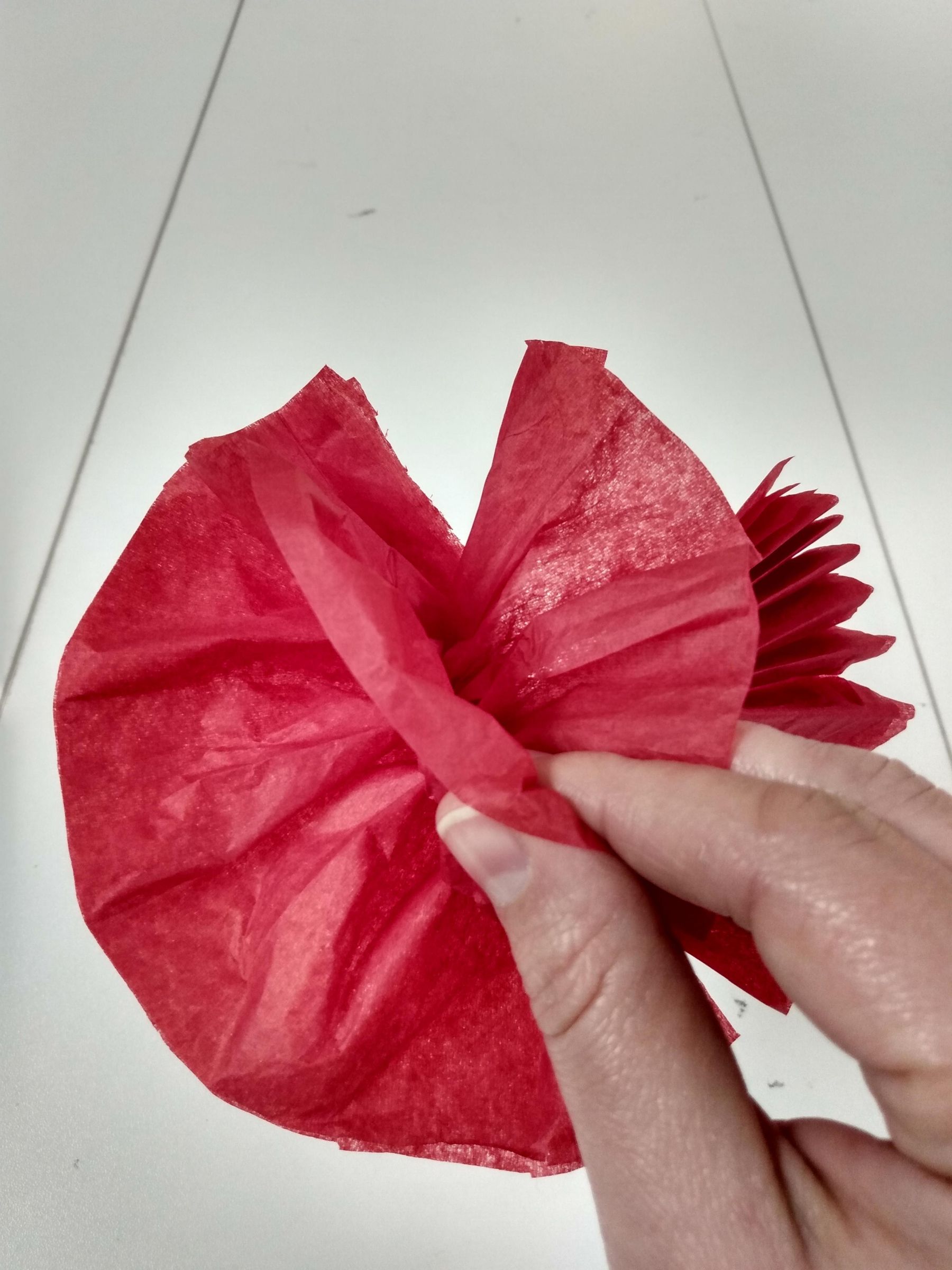 Tissue Paper Poppies : 7 Steps (with Pictures) - Instructables