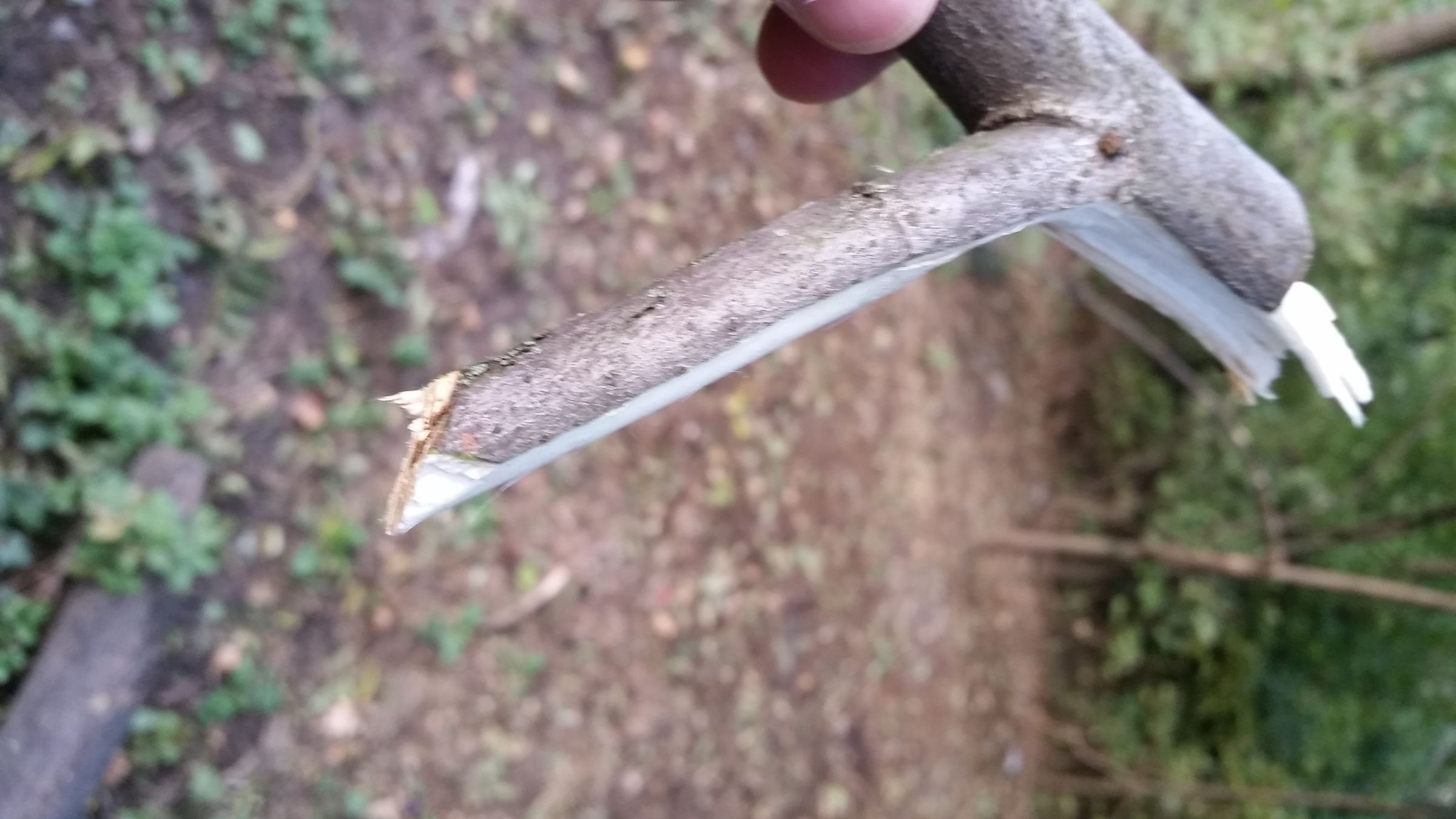 Primitive Smart Fishing : 8 Steps (with Pictures) - Instructables