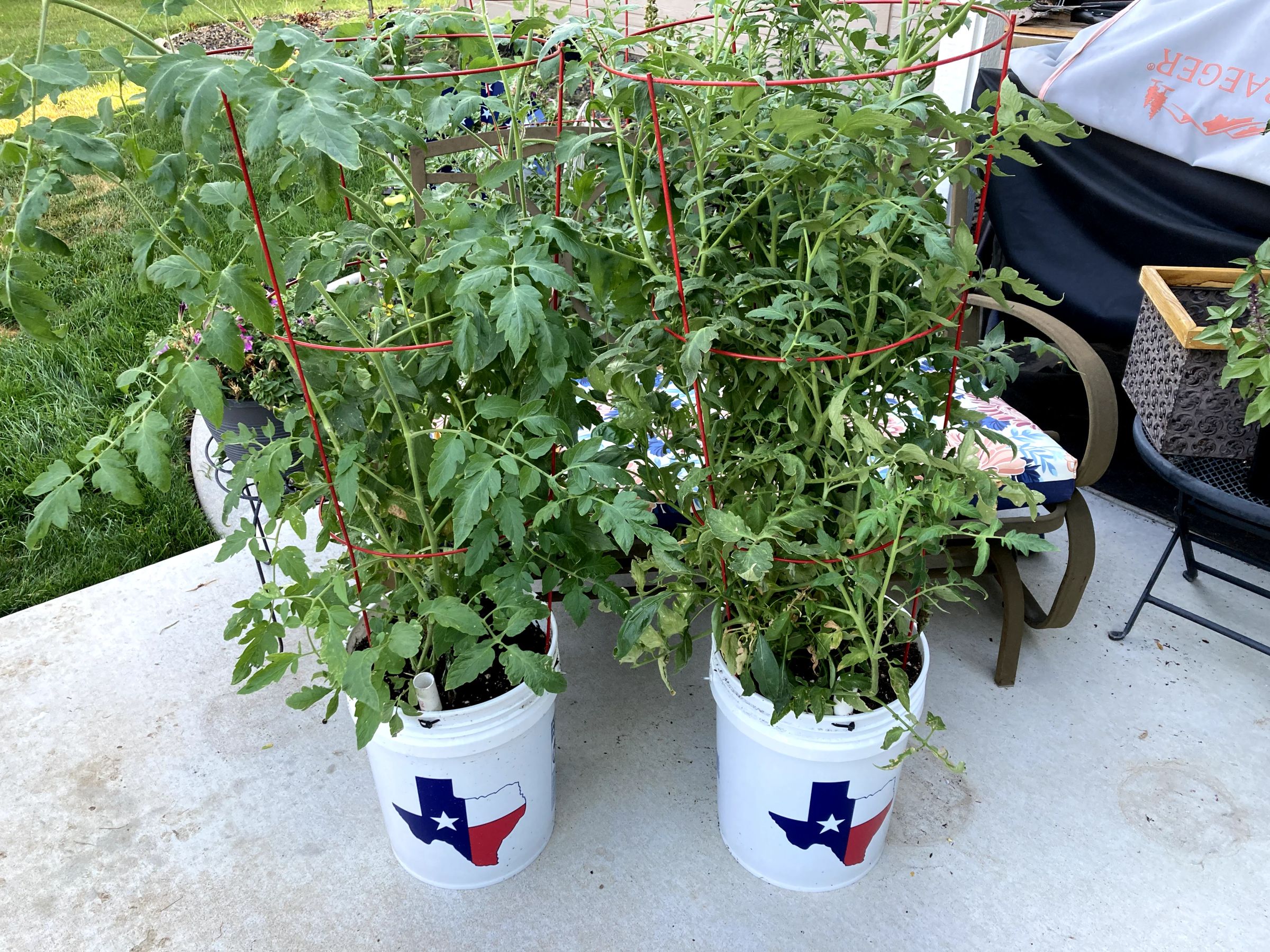 Single Bucket Sub-Irrigated Planter : 5 Steps (with Pictures ...