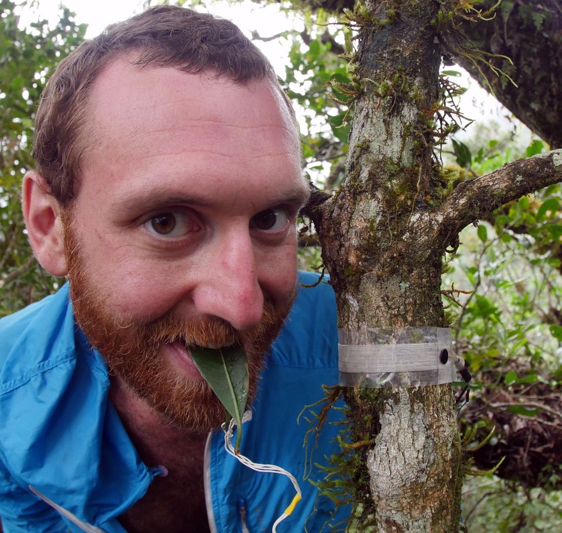 Fiber-Optic Jungle Insect Traffic Taster : 17 Steps (with Pictures ...