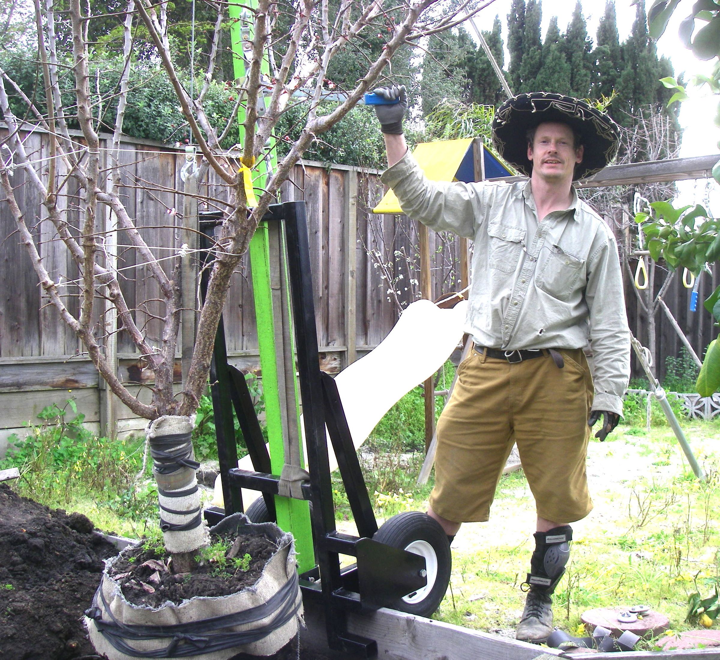 Transplant a Tree With a Giant Two Wheel Dolly : 10 Steps (with ...