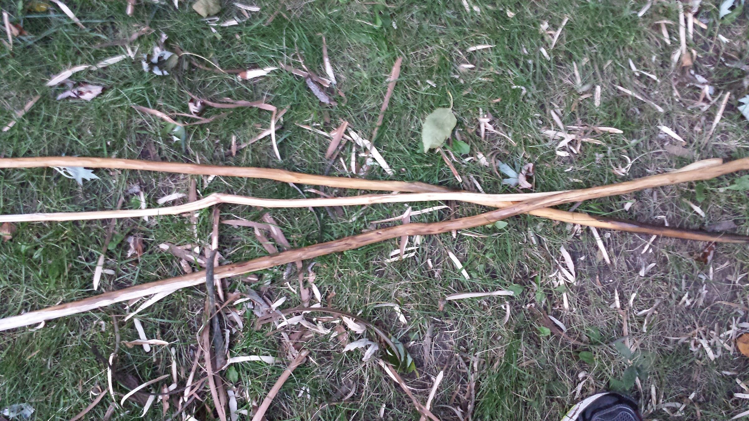 Build Your Own Atlatl : 21 Steps (with Pictures) - Instructables