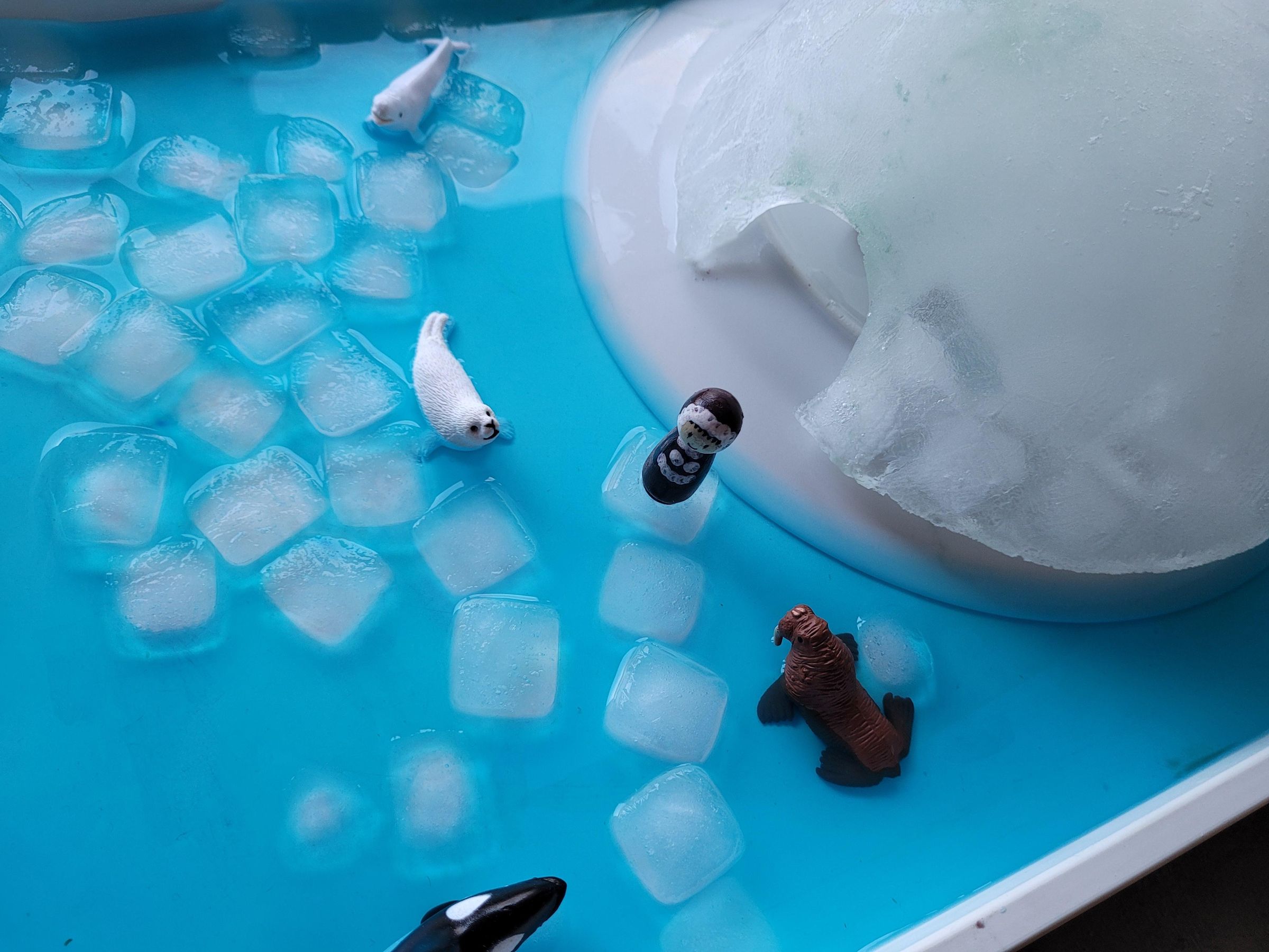 Easy Igloo for Arctic Diorama : 7 Steps (with Pictures) - Instructables